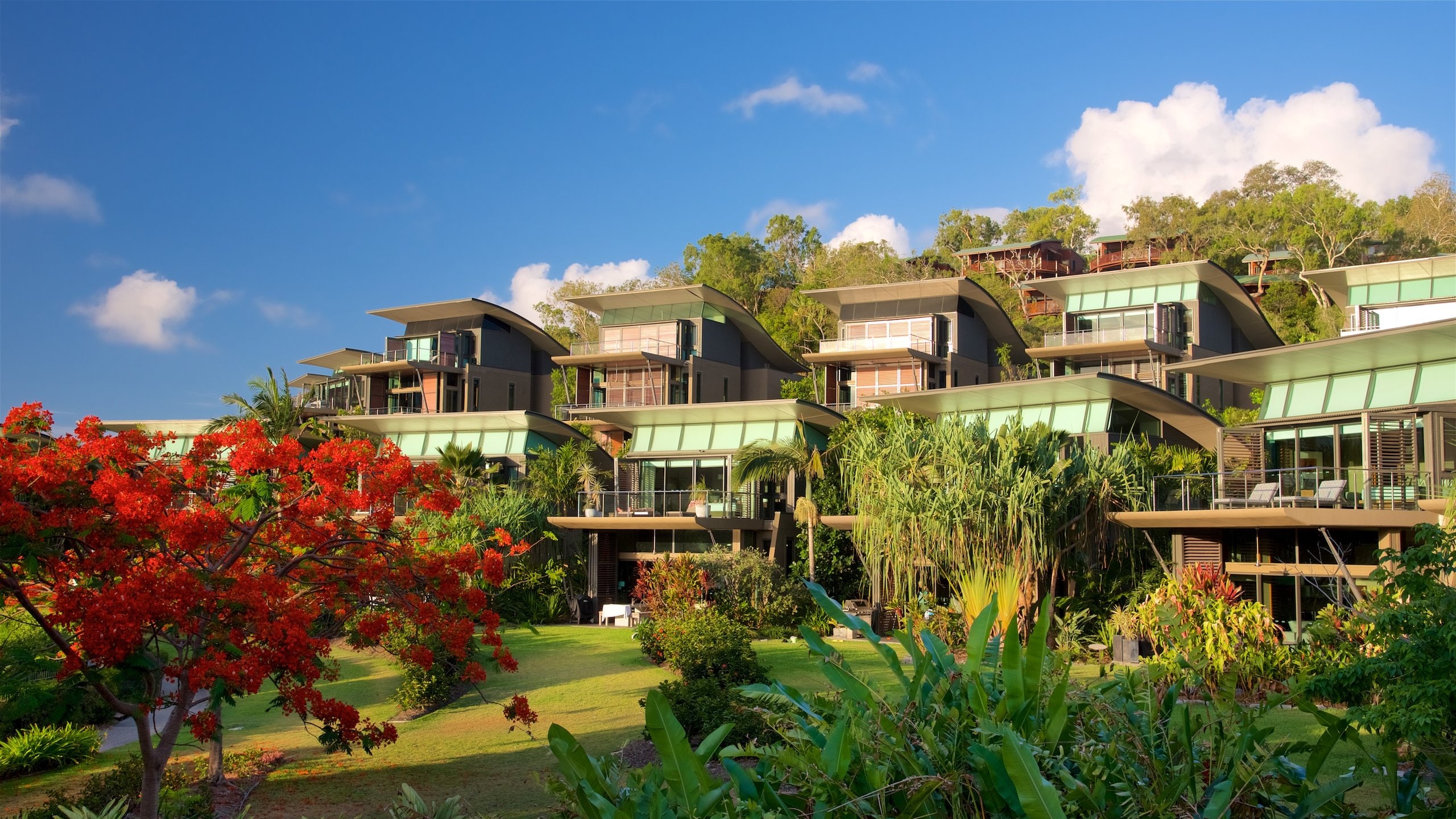 Hamilton Island Holiday Packages & Deals 2023/2024 | Wotif