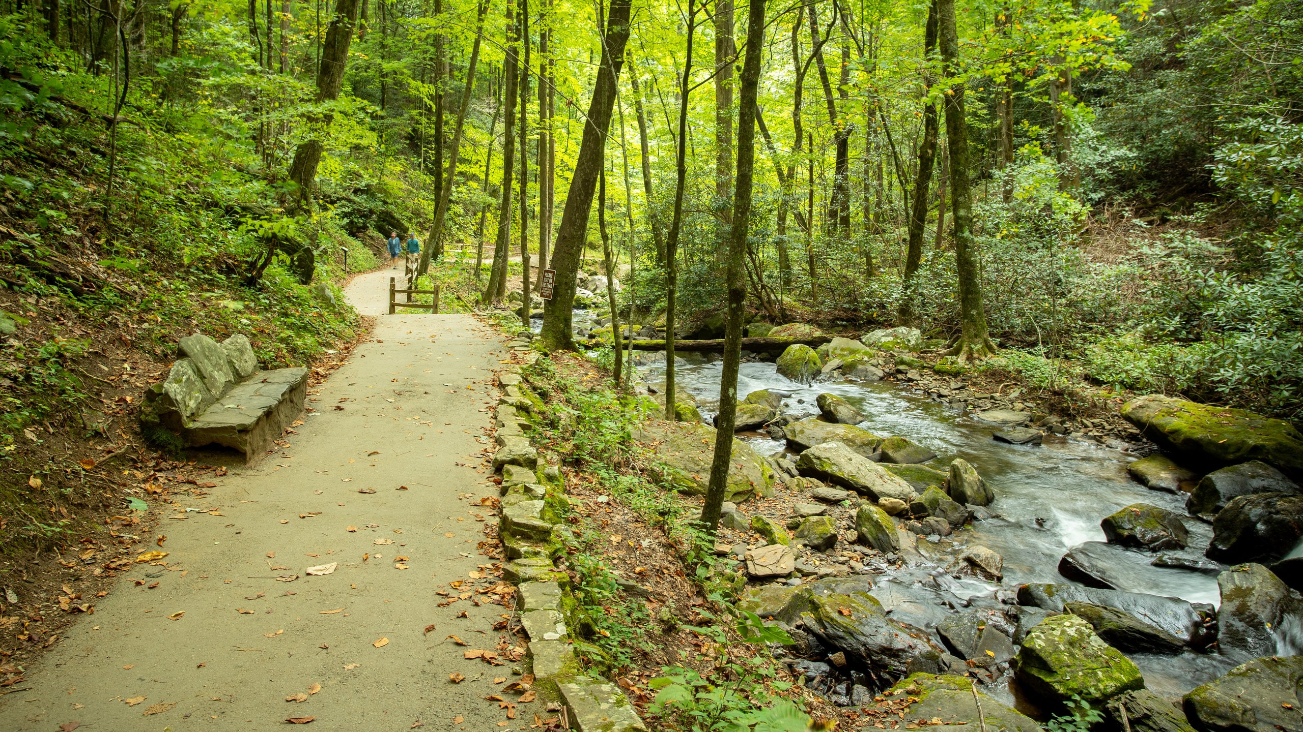 Chutes Anna Ruby Falls, Sautee Nacoochee location de vacances: maisons ...