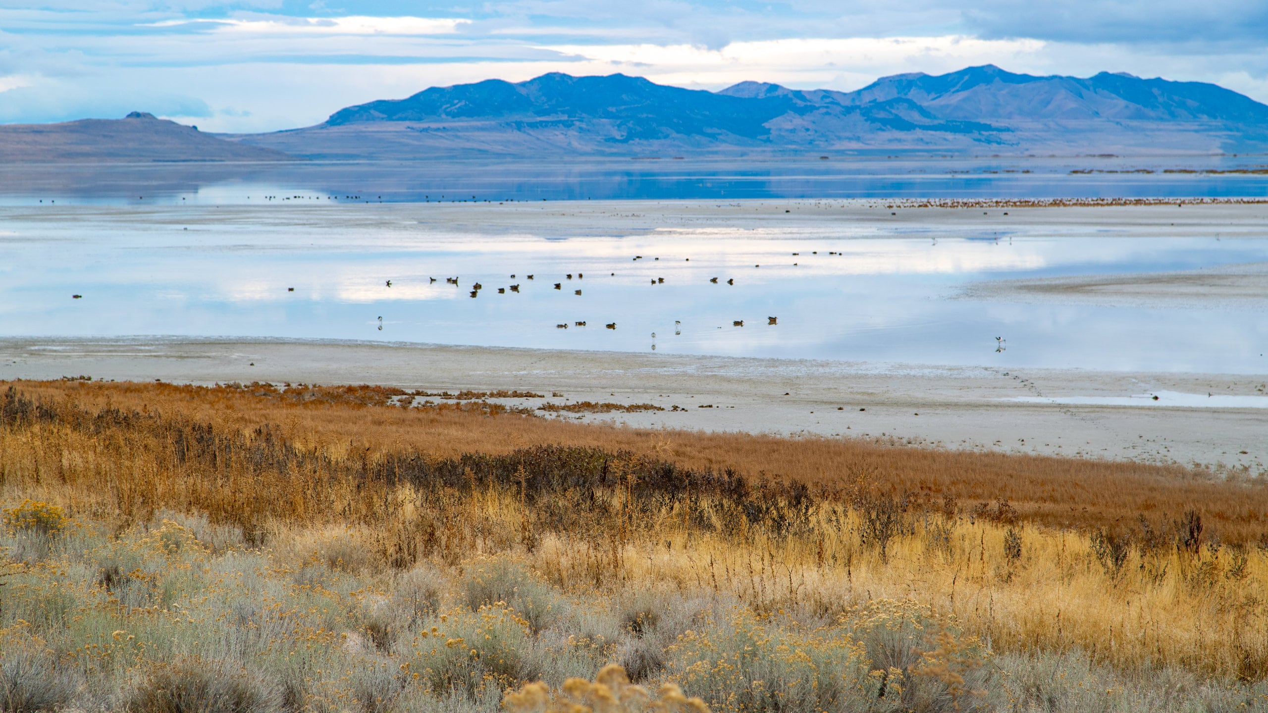 Visit Northern Utah - Salt Lake City: Best of Northern Utah - Salt Lake ...