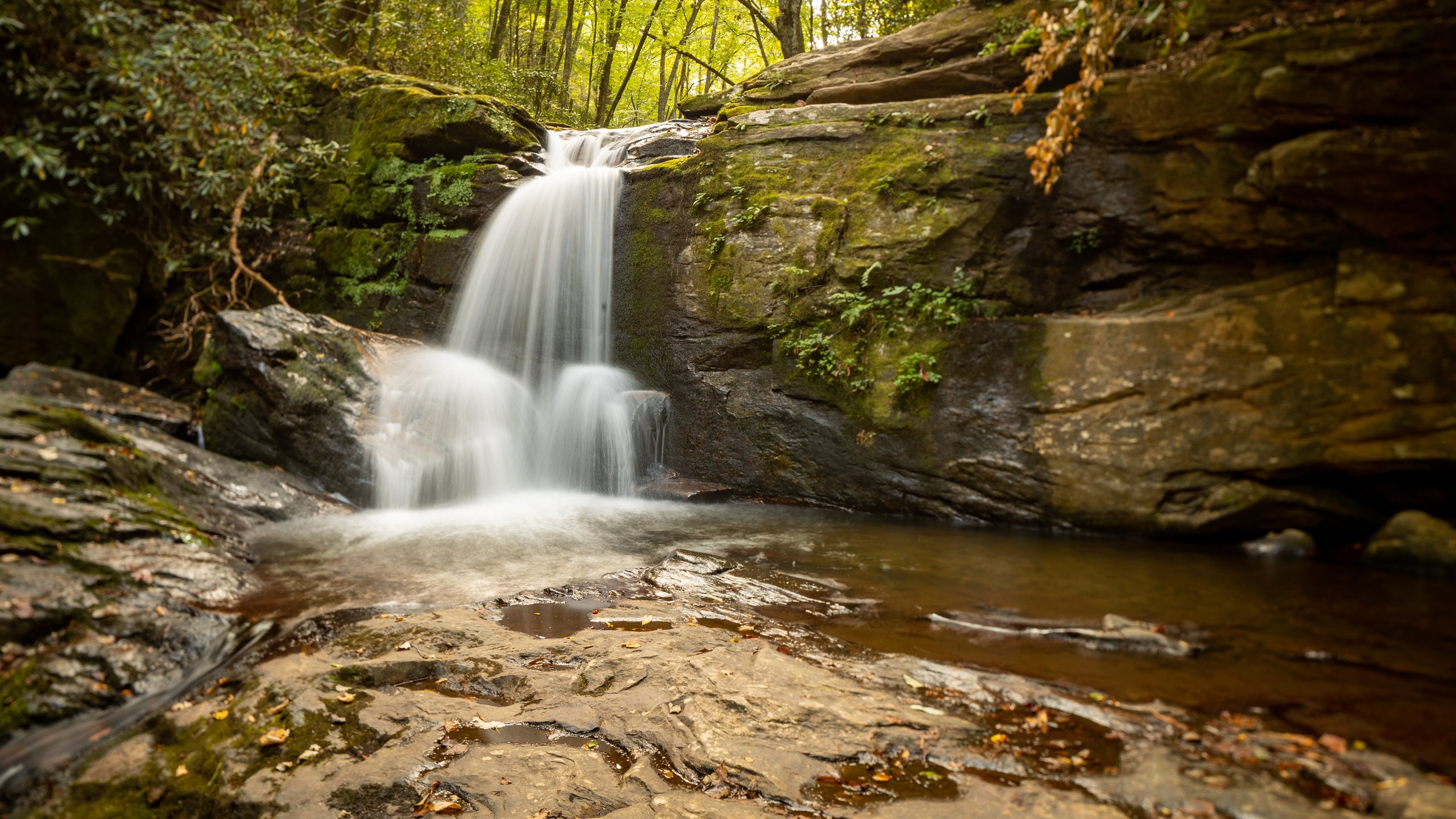 Raven Cliffs Falls, US holiday accommodation: holiday houses & more | Stayz