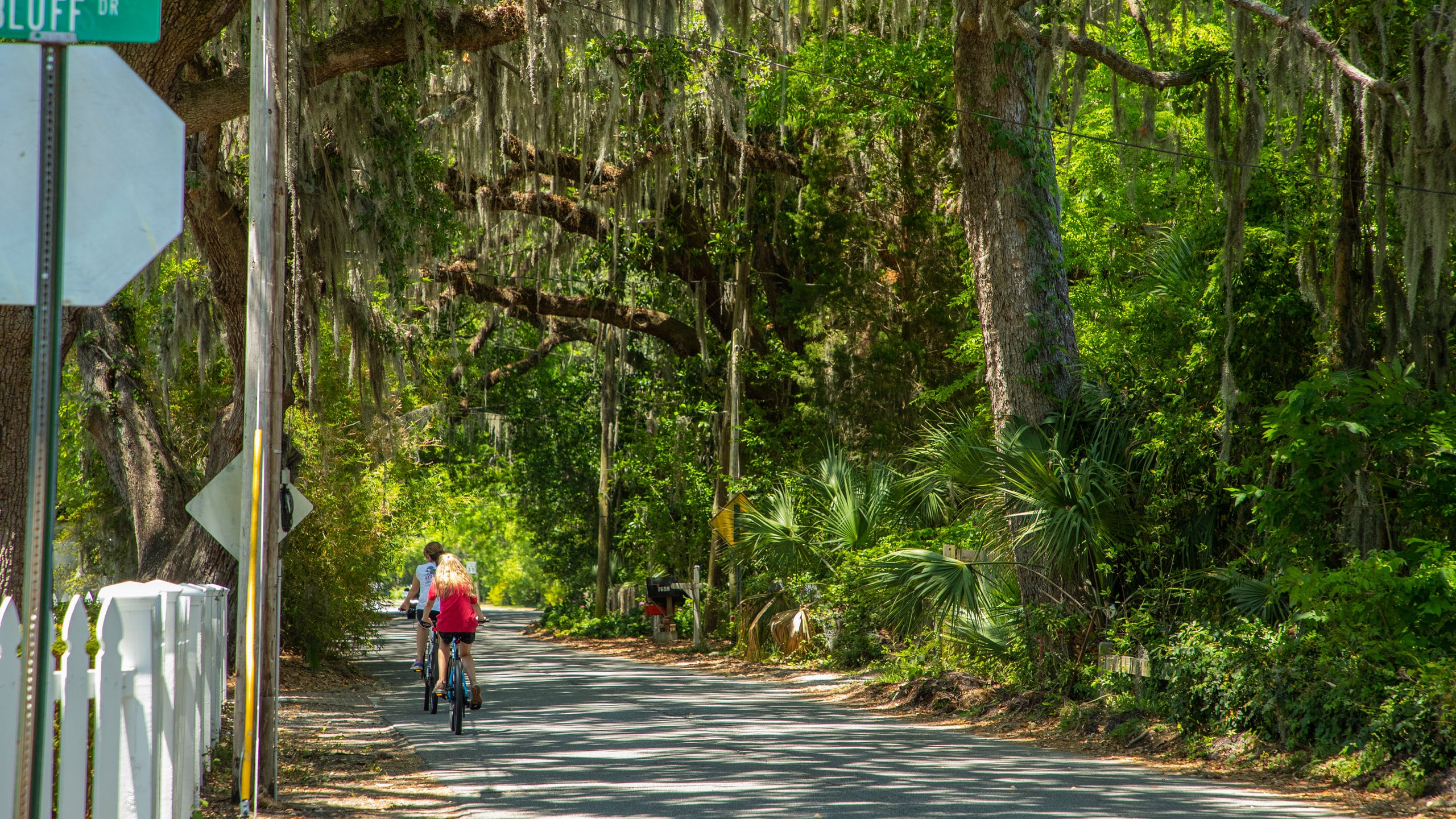 Isle of Hope Historic District Travel Guide: Best of Isle of Hope ...
