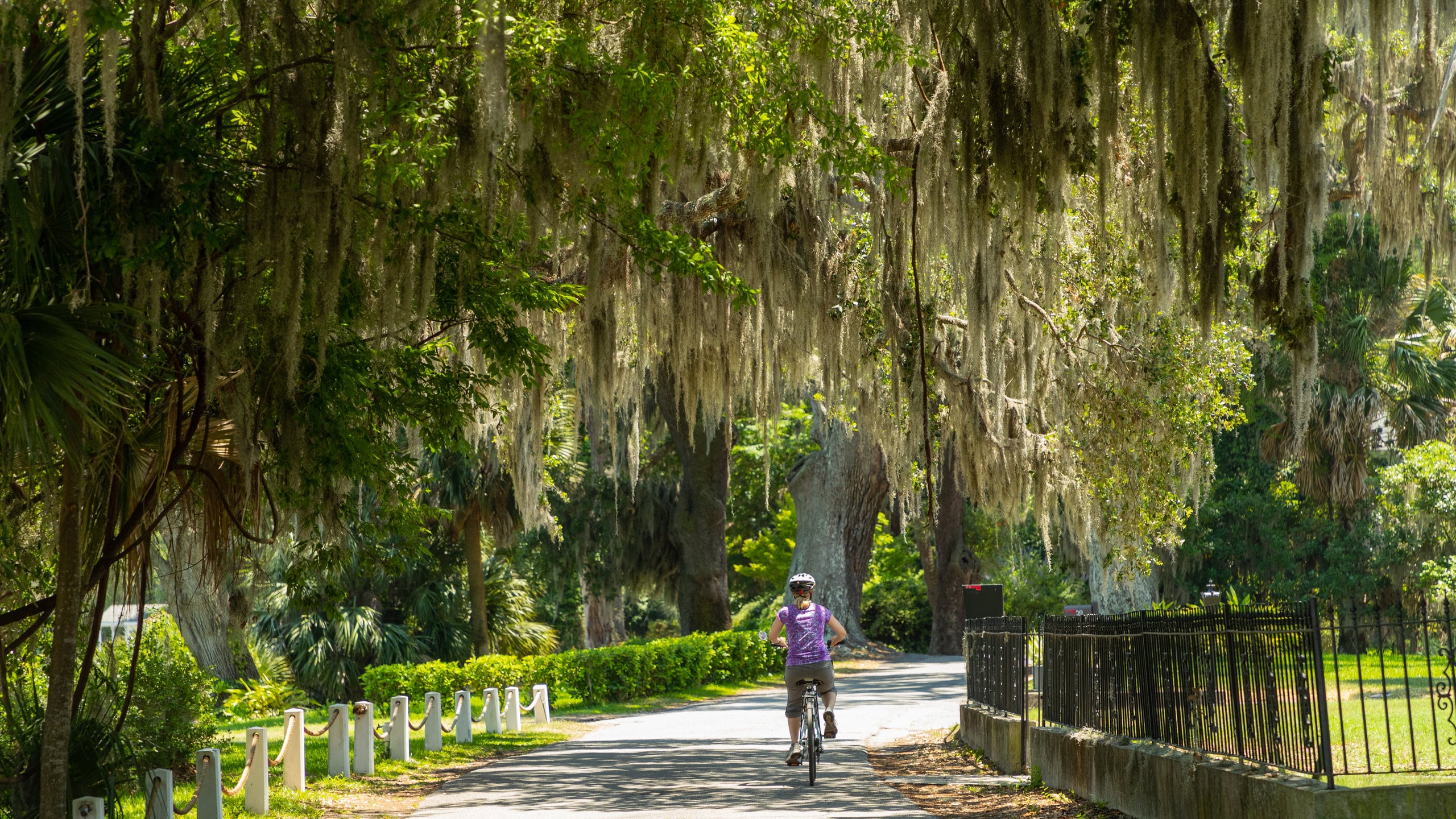 Visit Isle of Hope Historic District: 2024 Isle of Hope Historic ...