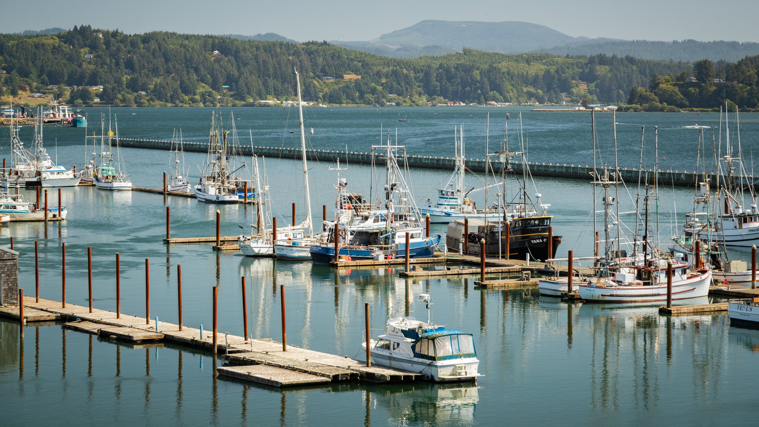 Visit Newport: Best of Newport Tourism | Expedia Travel Guide