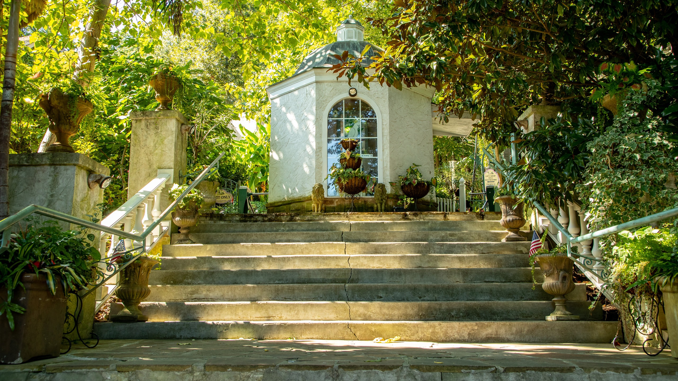 Parrot Mountain and Gardens, Pigeon Forge Vacation Rentals: cabin ...