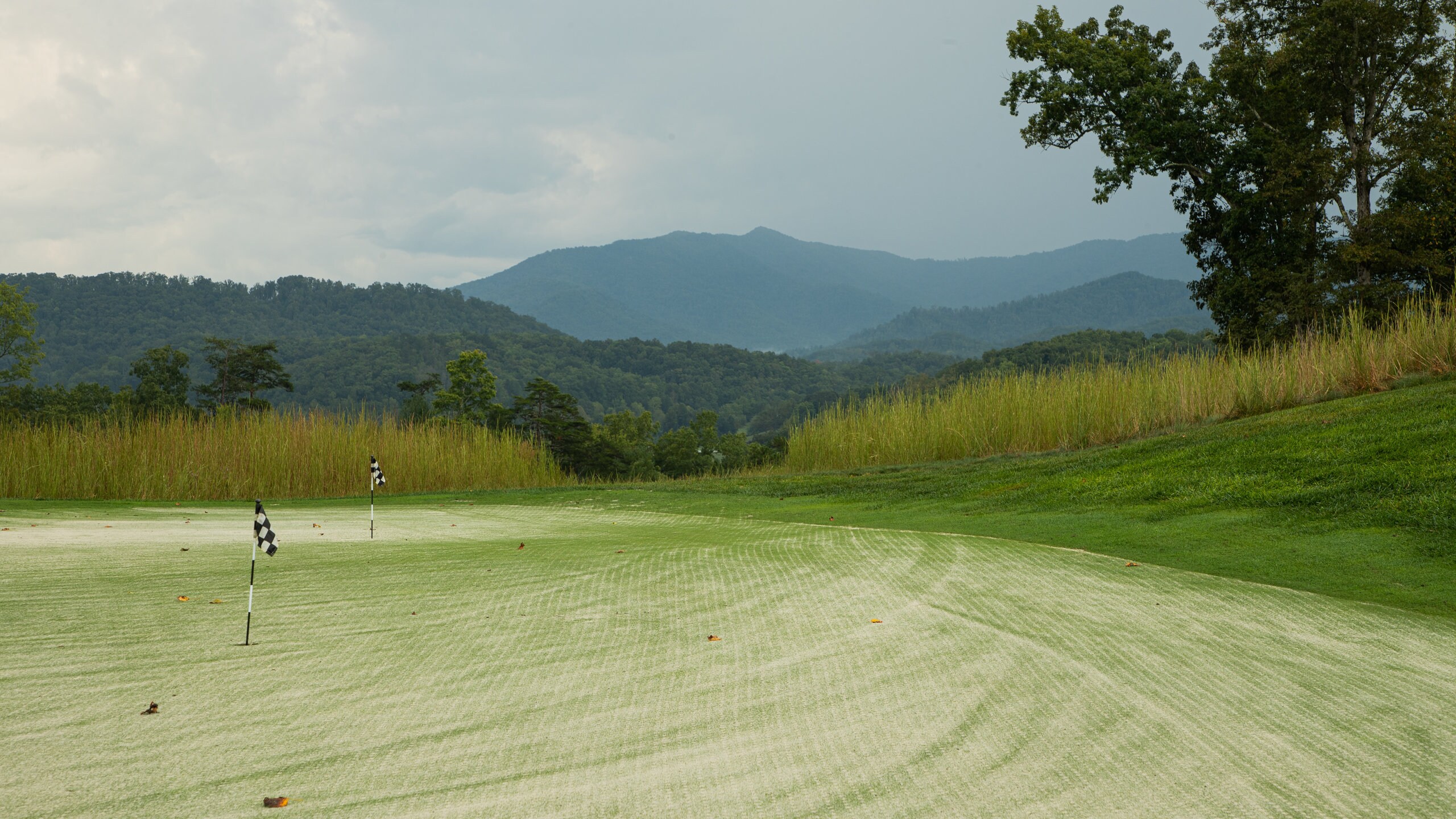 Carolina Golf Travel Guide