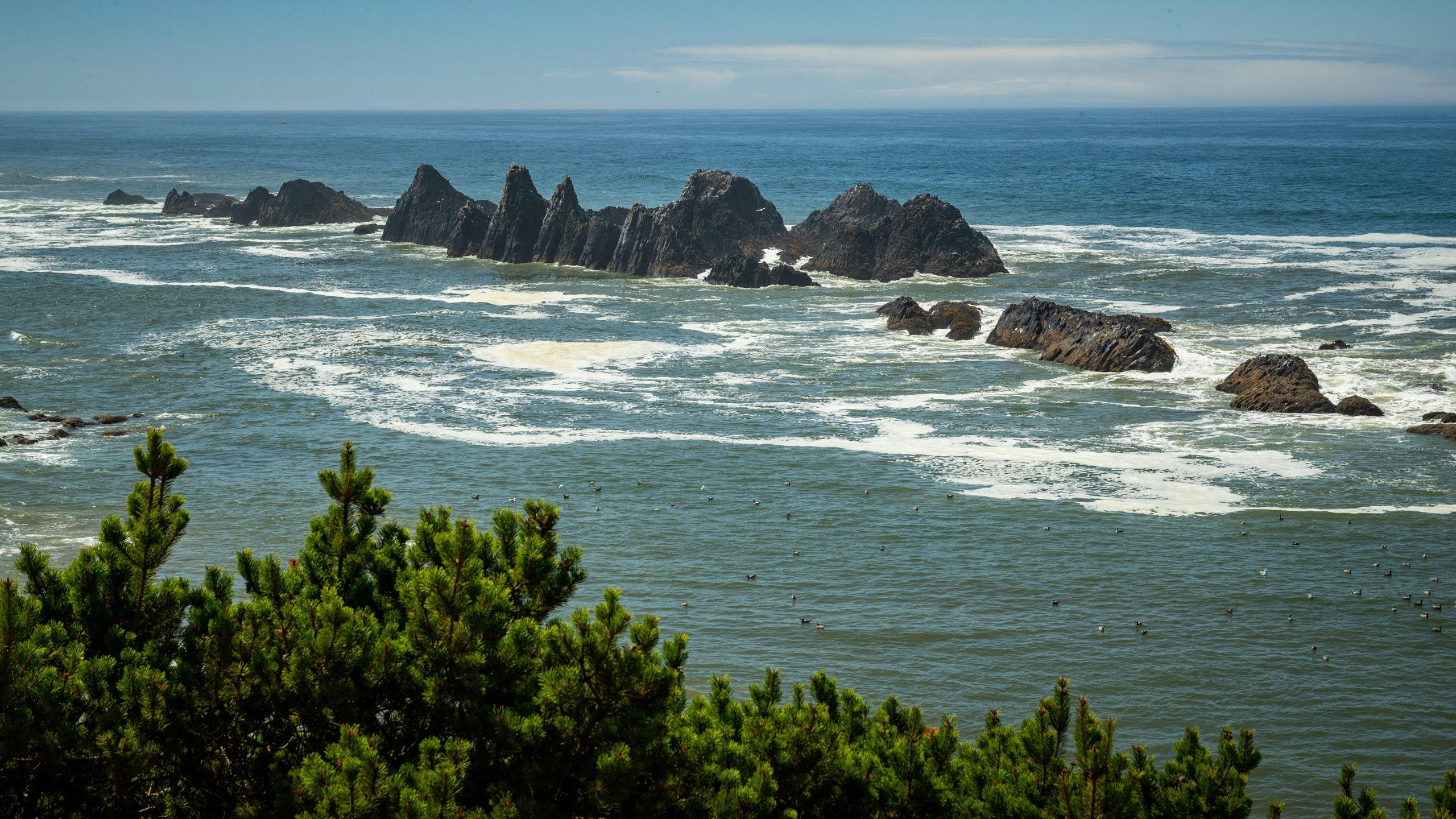 Top 20 Seal Rock, OR family friendly vacation rentals | Vrbo