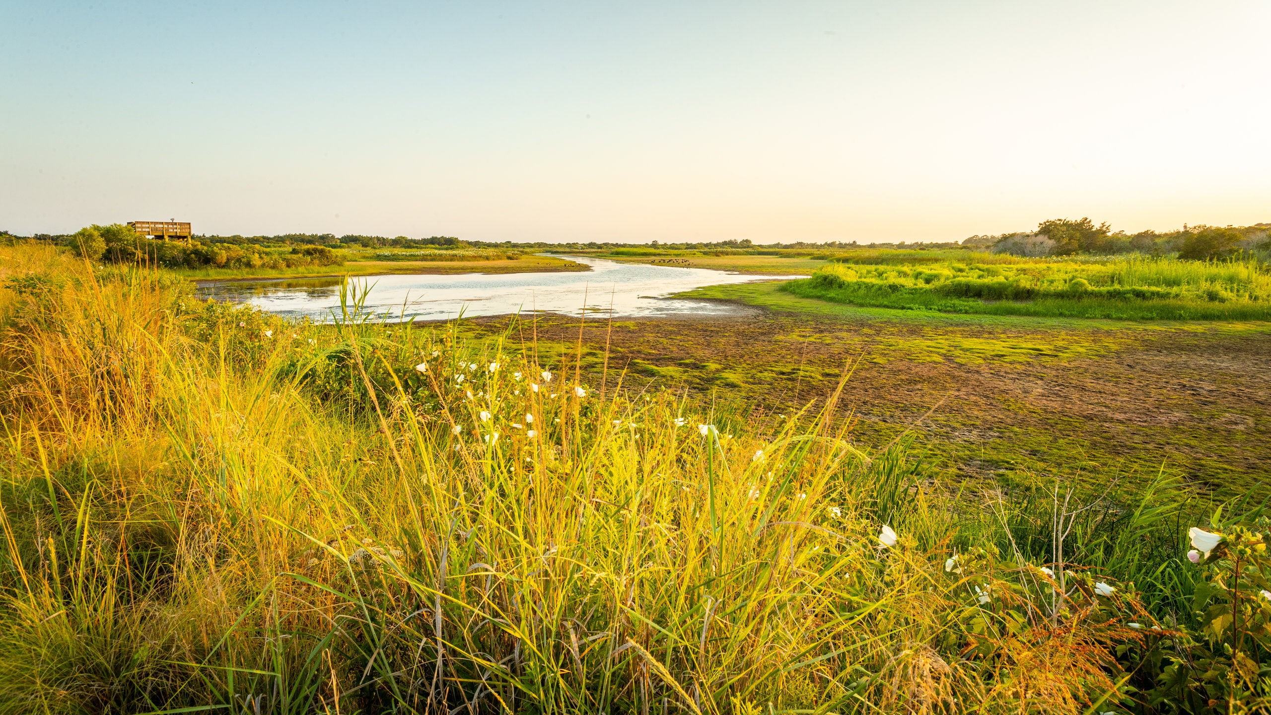 South Cape May Meadows Tours - Book Now | Expedia