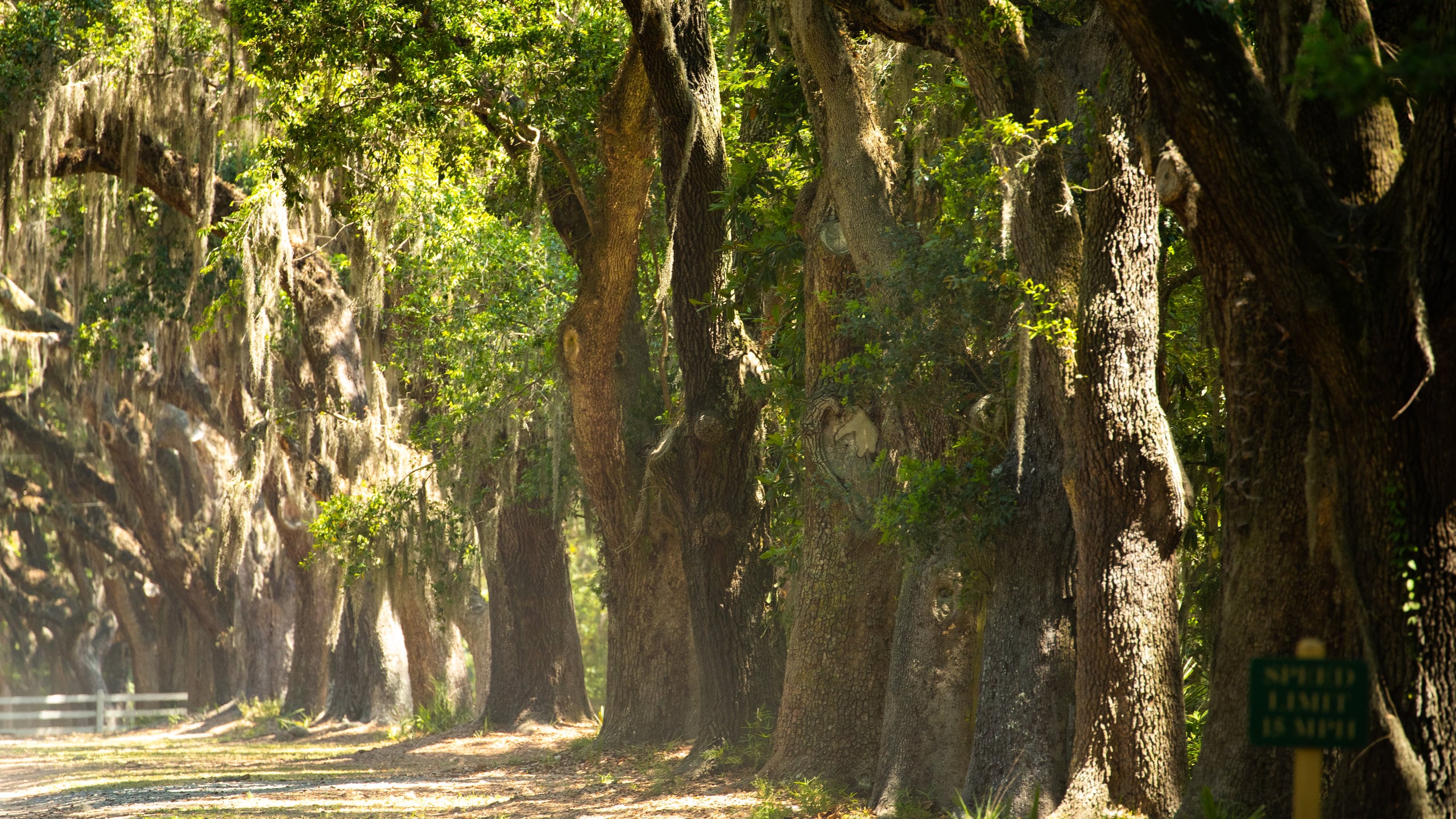 Wormsloe Historic Site Vacation Rentals: house rentals & more | Vrbo
