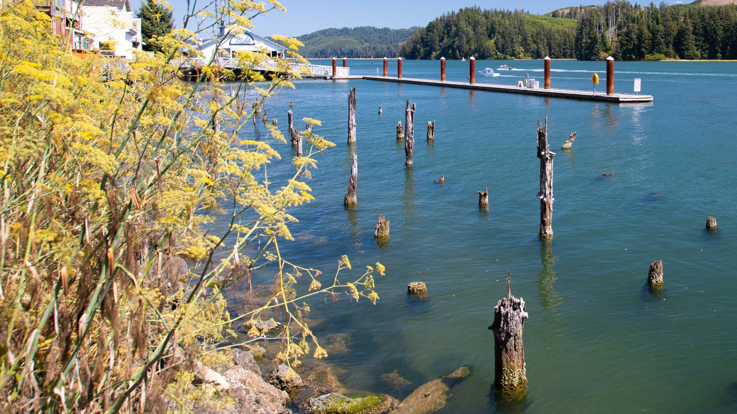 Actividades Florencia Oregon Things To Do In Florence, OR