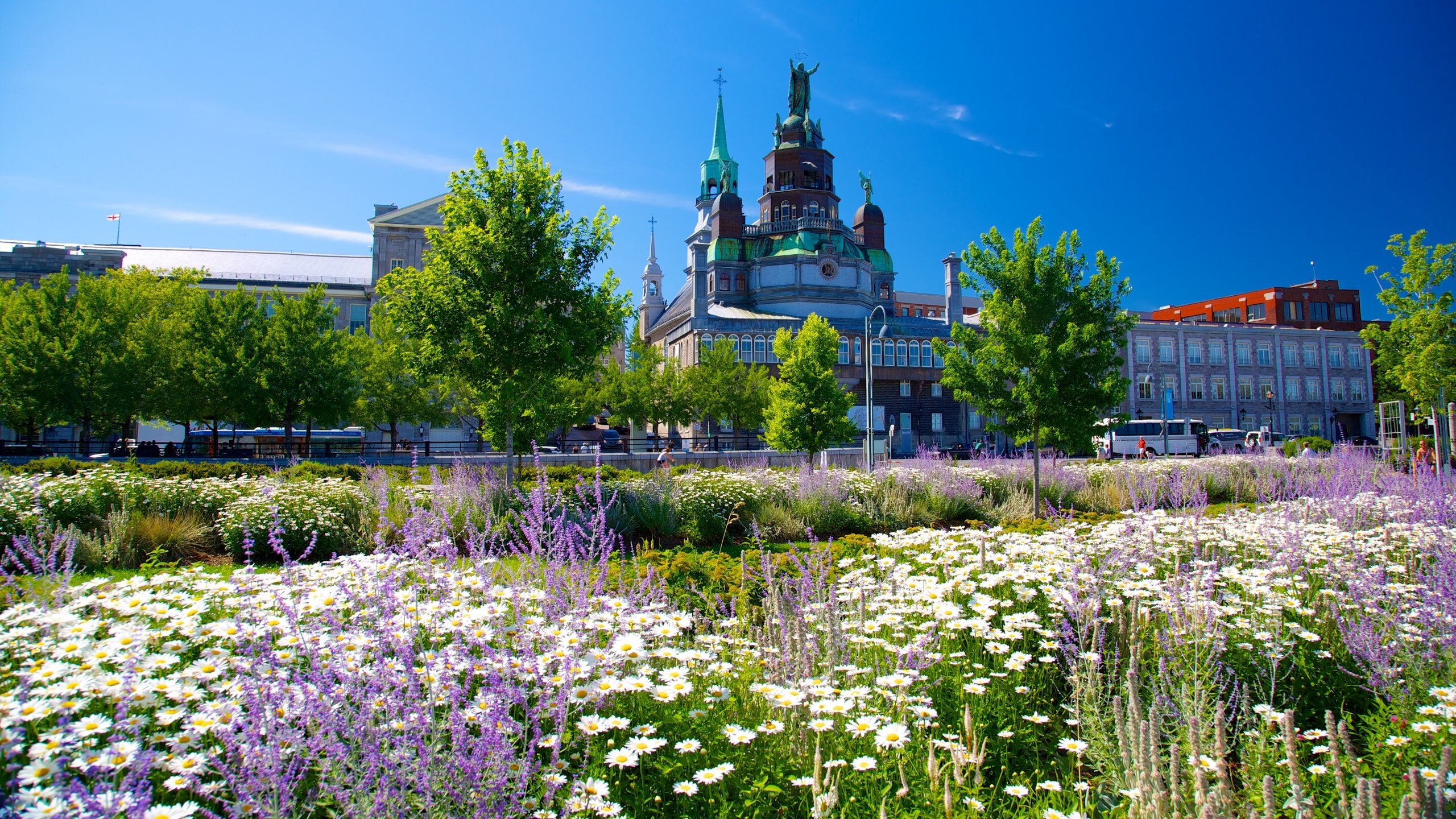 Visita Casco antiguo de Montreal: El mejor viaje a Casco antiguo de ...