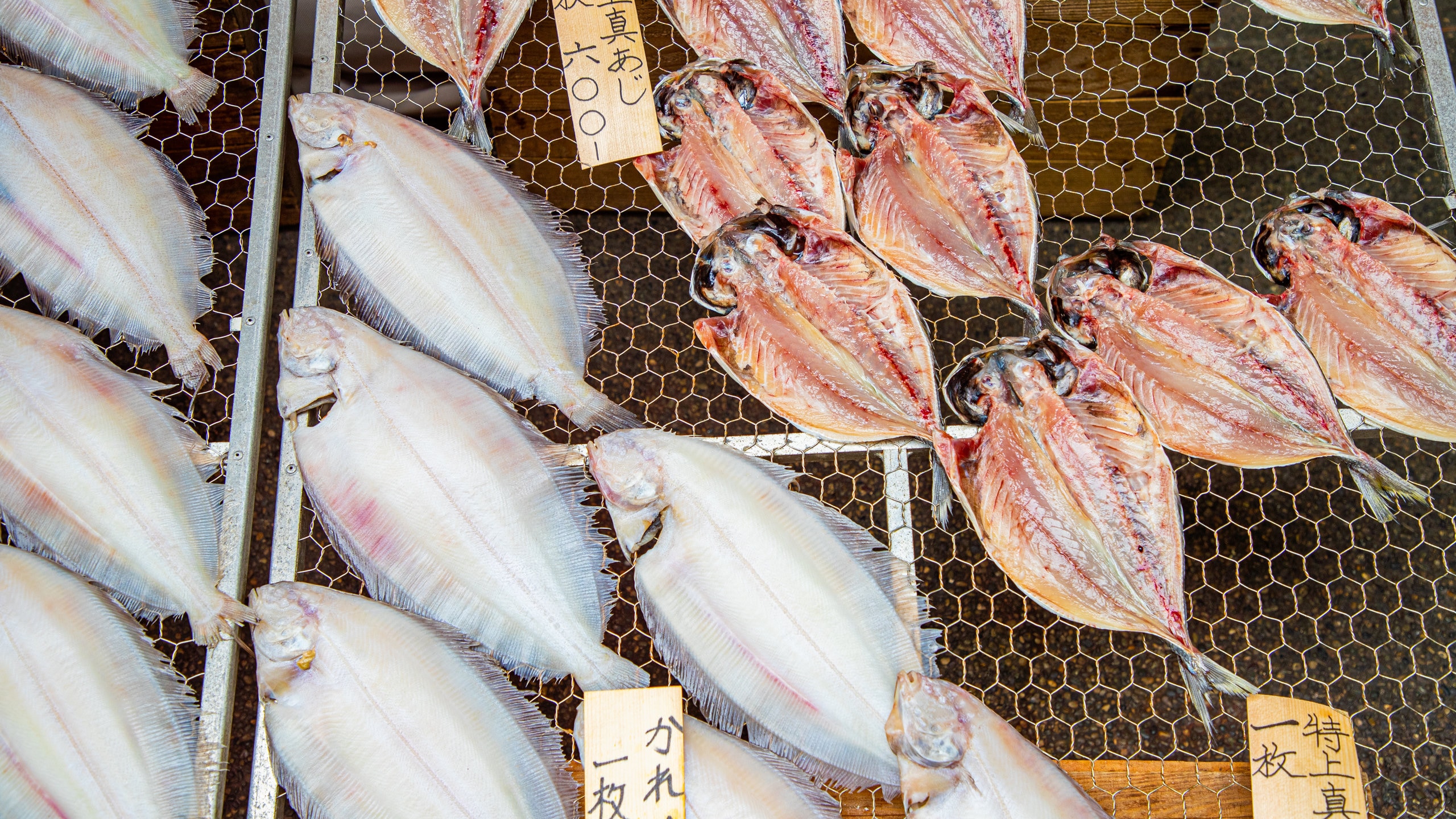 Visit Atami: Best of Atami Tourism | Expedia Travel Guide