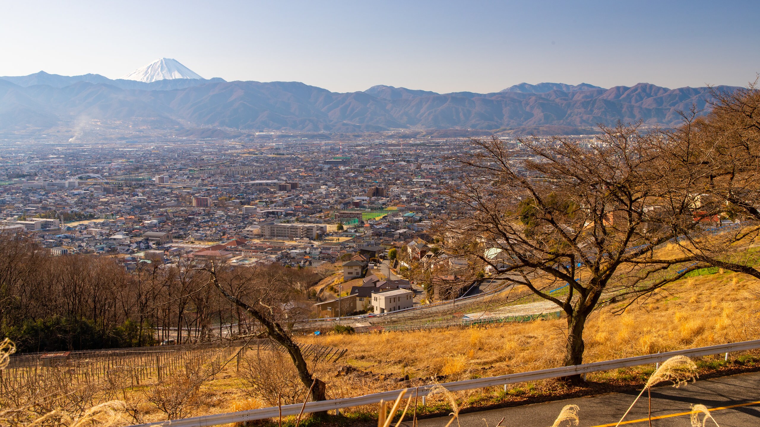 Where to Stay in Kofu: Best neighborhoods | Expedia