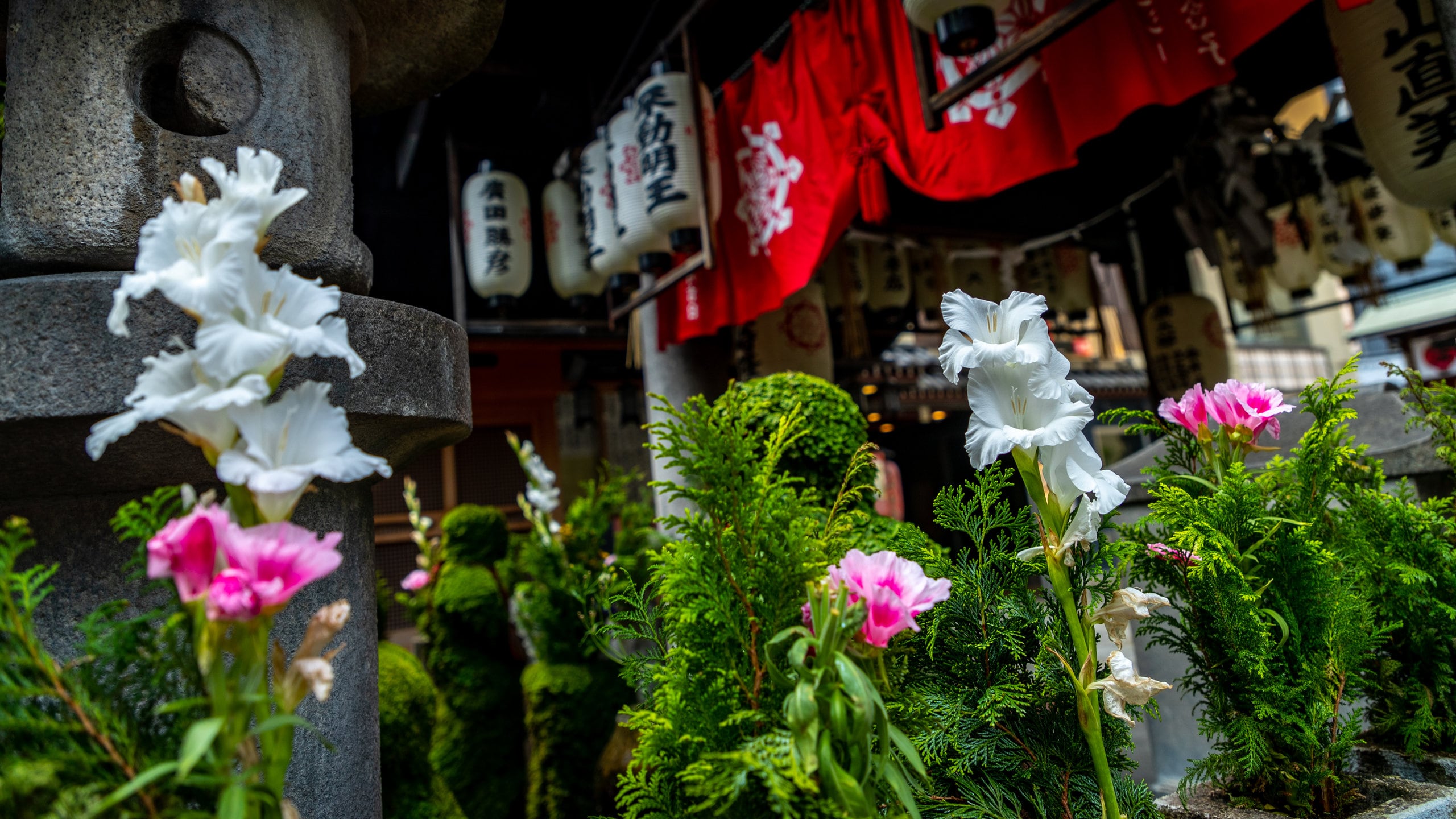 Hozen-ji Temple Tours - Book Now | Expedia