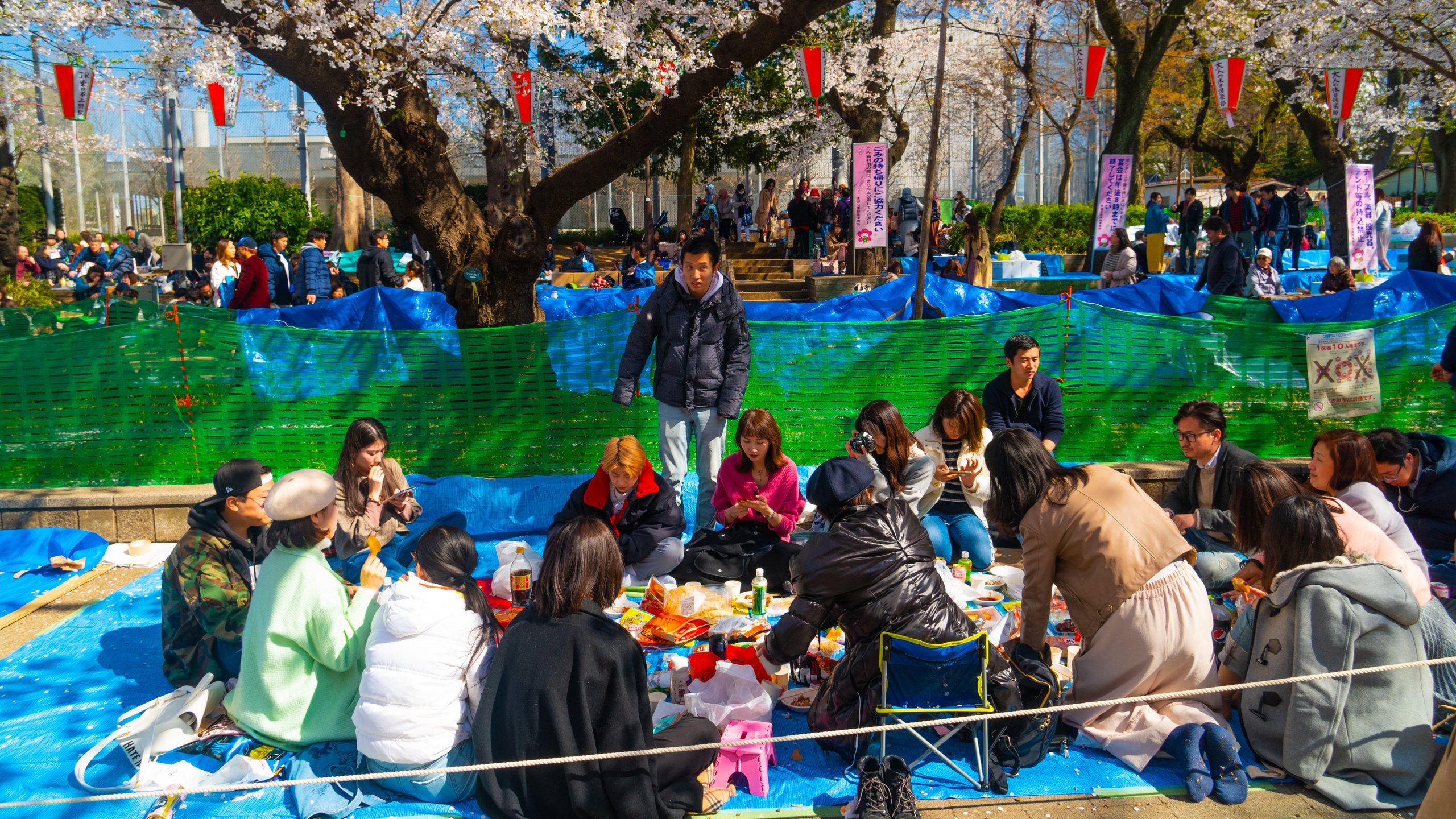 Visita Parque Ueno en Taito - Tours & Actividades | Expedia.mx