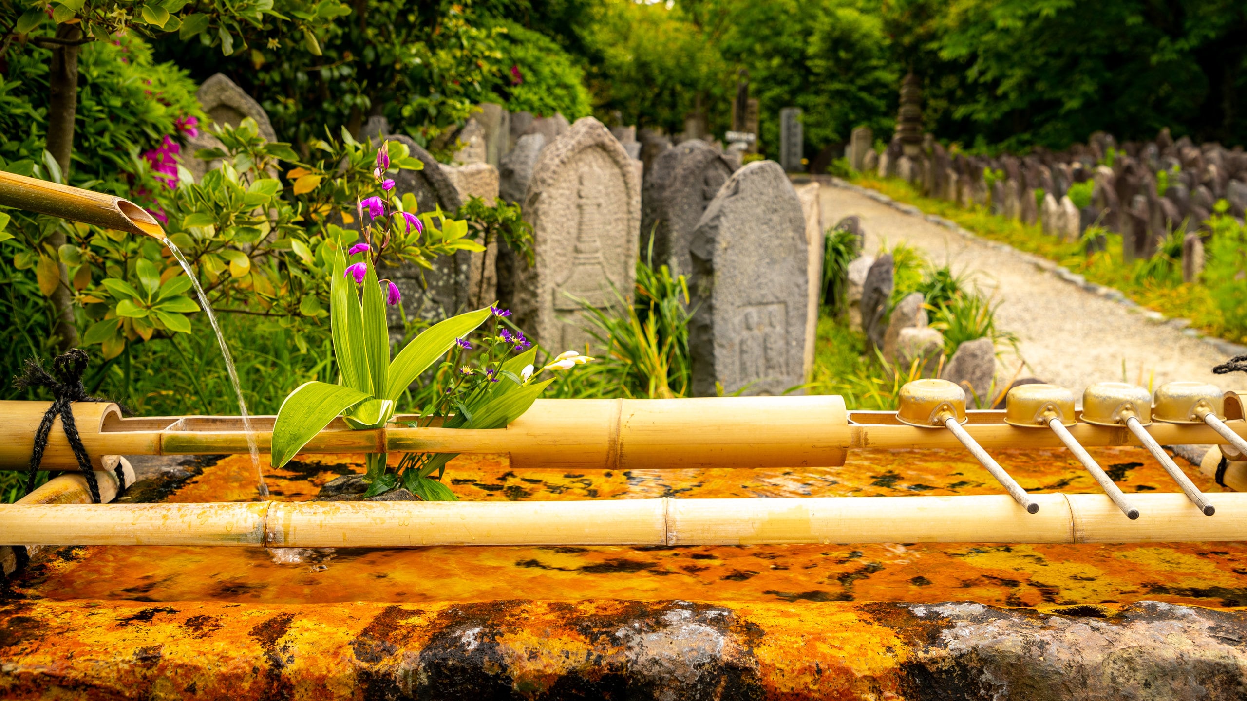 Gango-ji Temple Tours - Book Now | Expedia