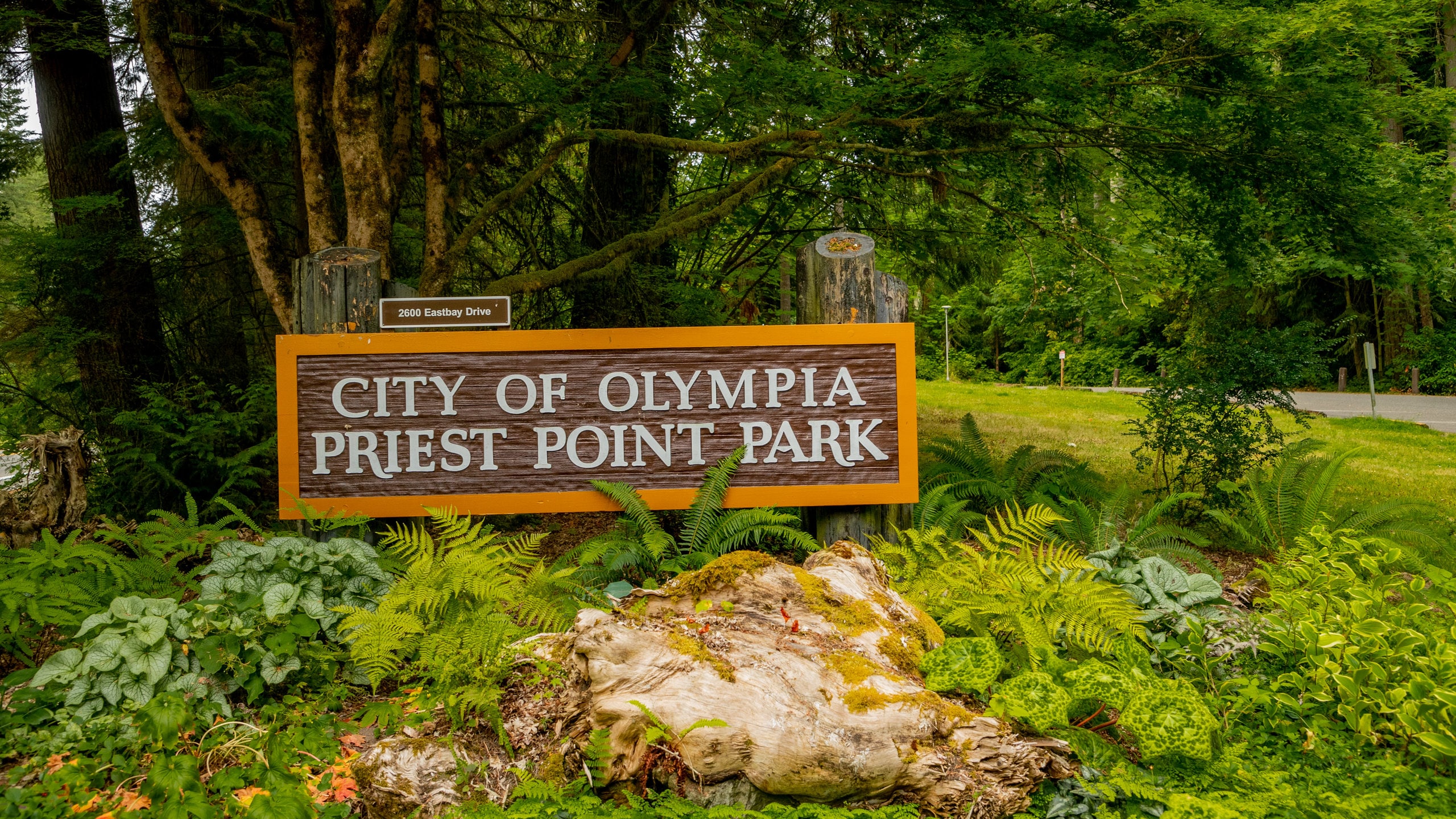 Are Dogs Allowed At Priest Point Park