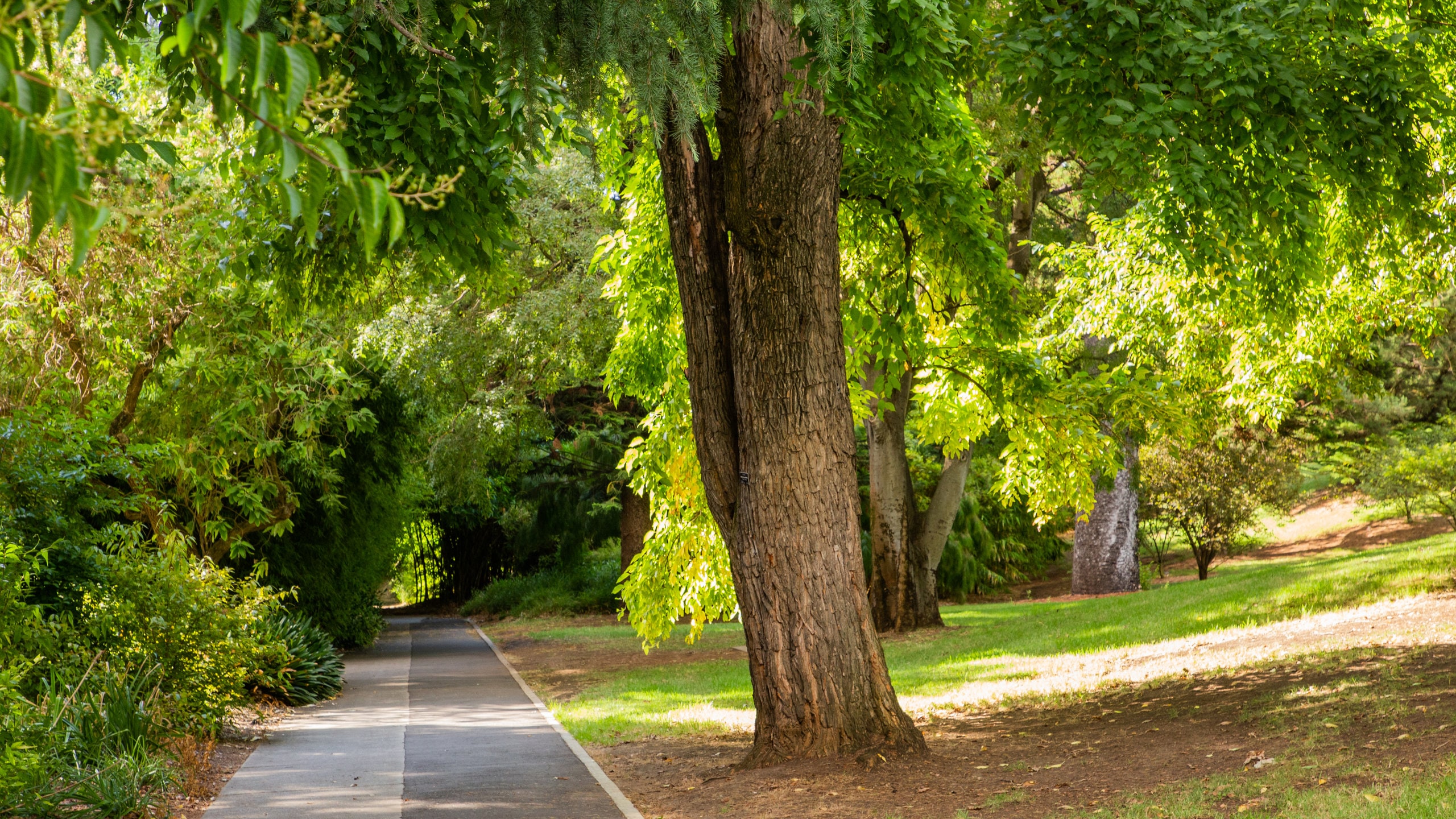 Adelaide Botanic Gardens Cafe | Fasci Garden