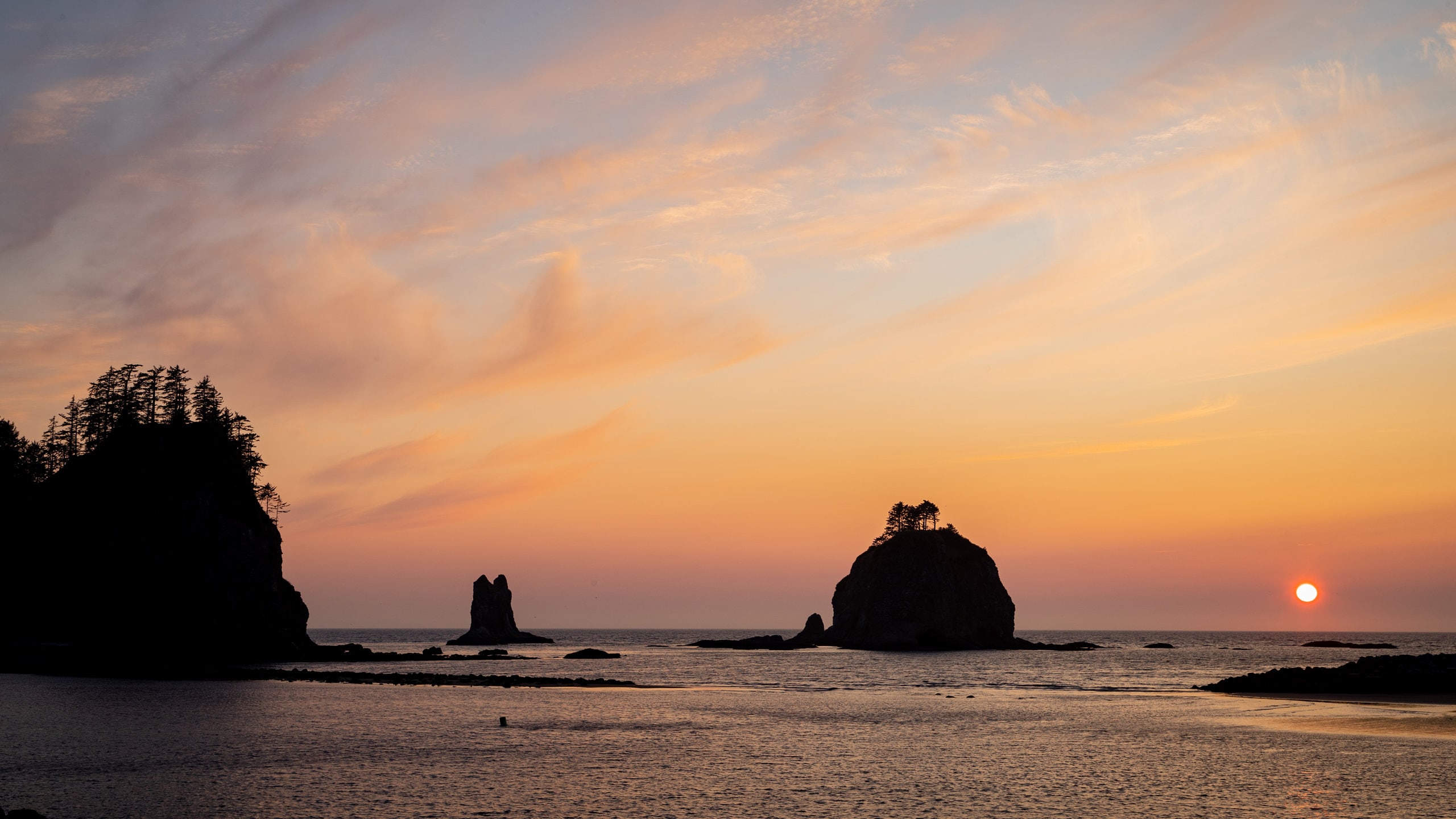La Push Beach Tours - Book Now | Expedia