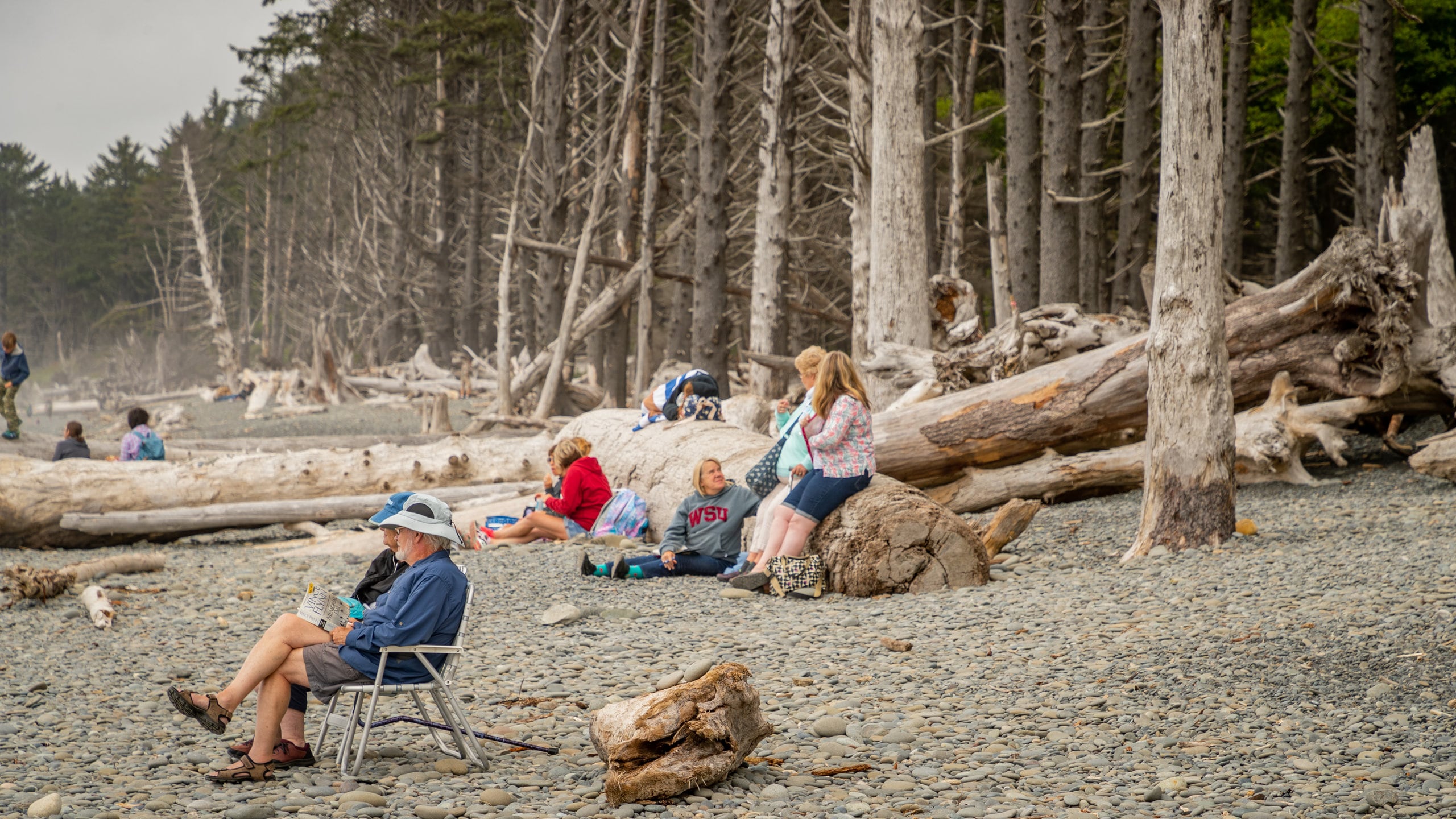 Visit La Push: Best of La Push Tourism | Expedia Travel Guide