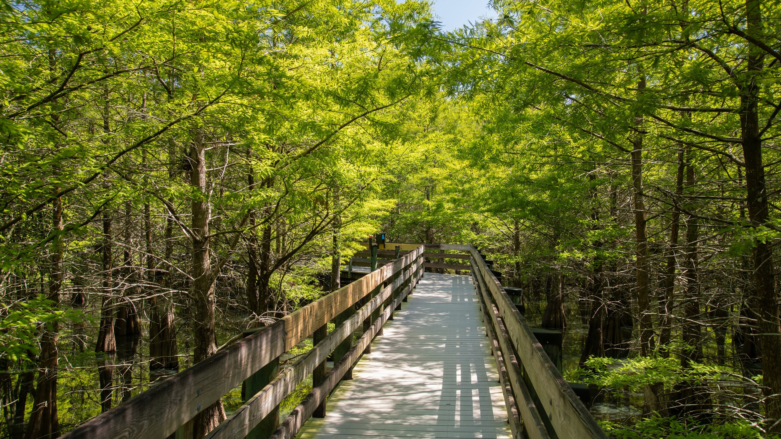 Six Mile Cypress Slough Preserve Tours - Book Now | Expedia