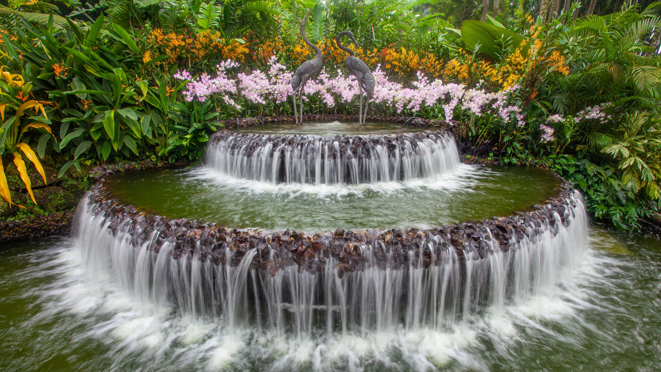 Wallpaper For Whatsapp Dp With Esim - Infoupdate.org