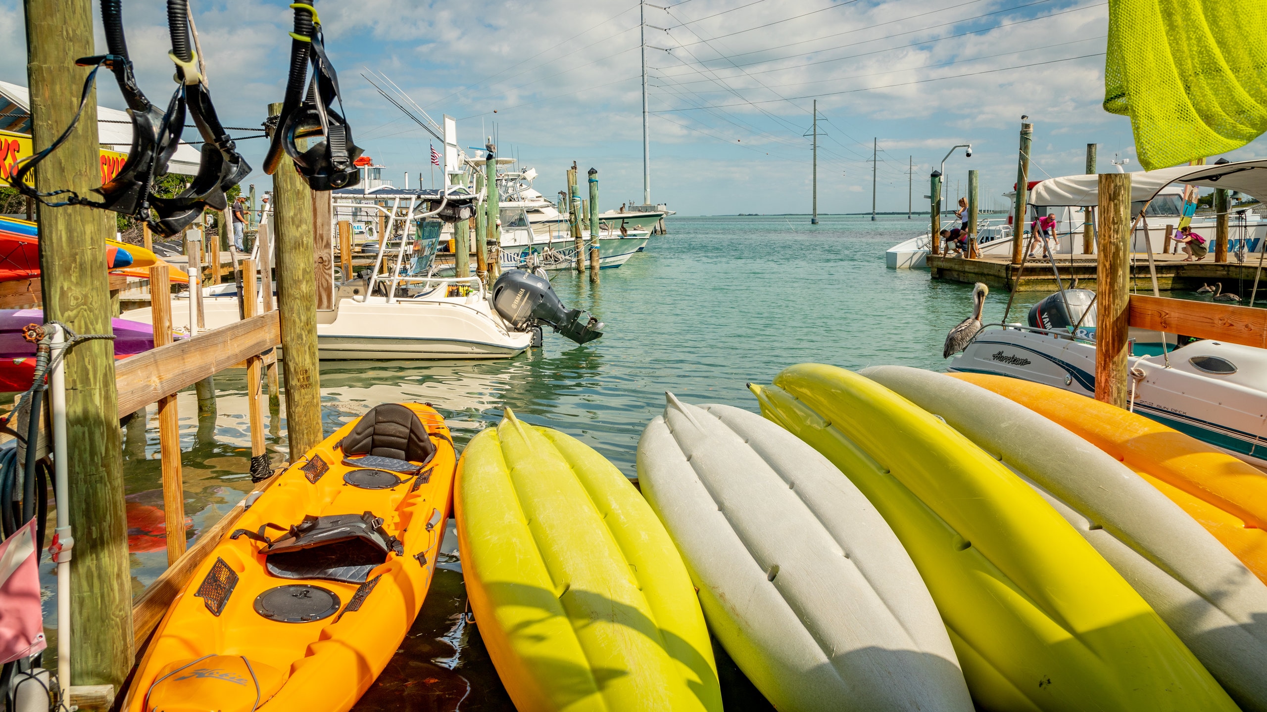 Robbie S Marina Robbie's Of Islamorada | Best Place To Visit In