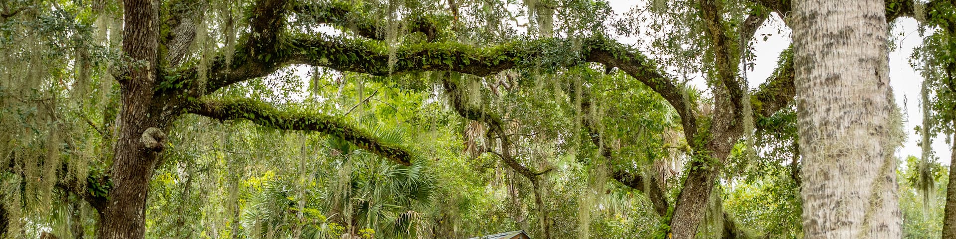 New Smyrna Beach, Florida, Estados Unidos