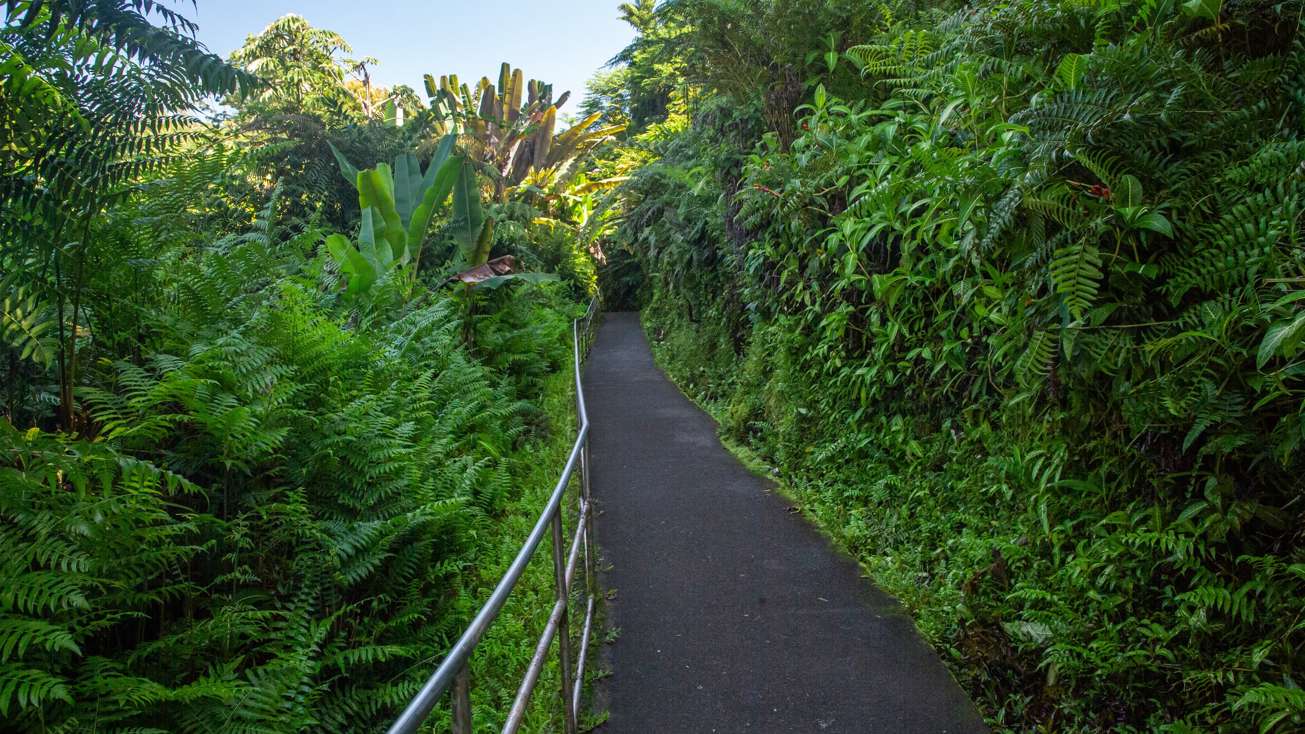 Visit Hakalau: 2024 Travel Guide for Hakalau, Hawaii | Expedia