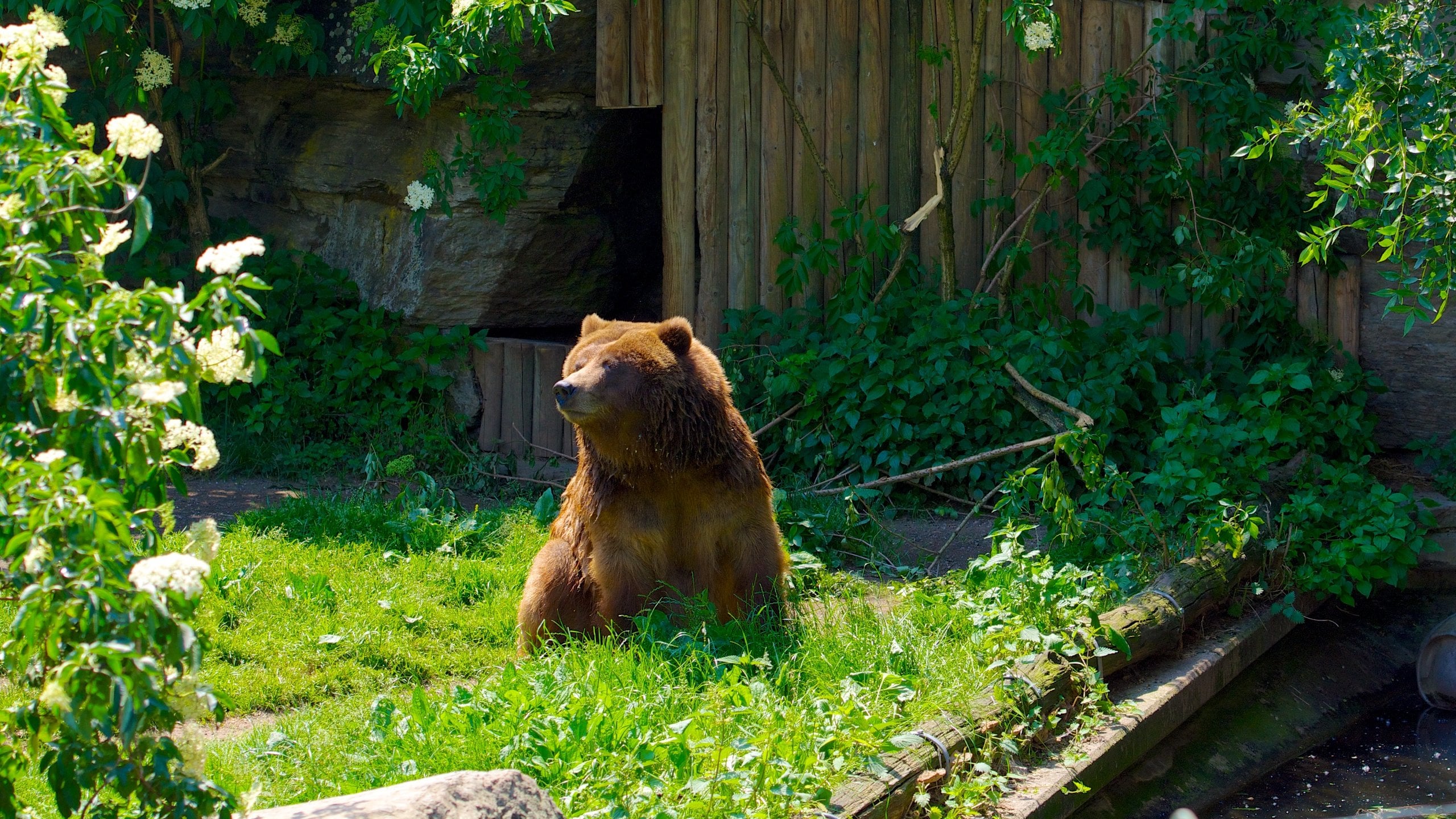 Zoo de Cologne location de vacances à partir de € 48/nuit | Abritel