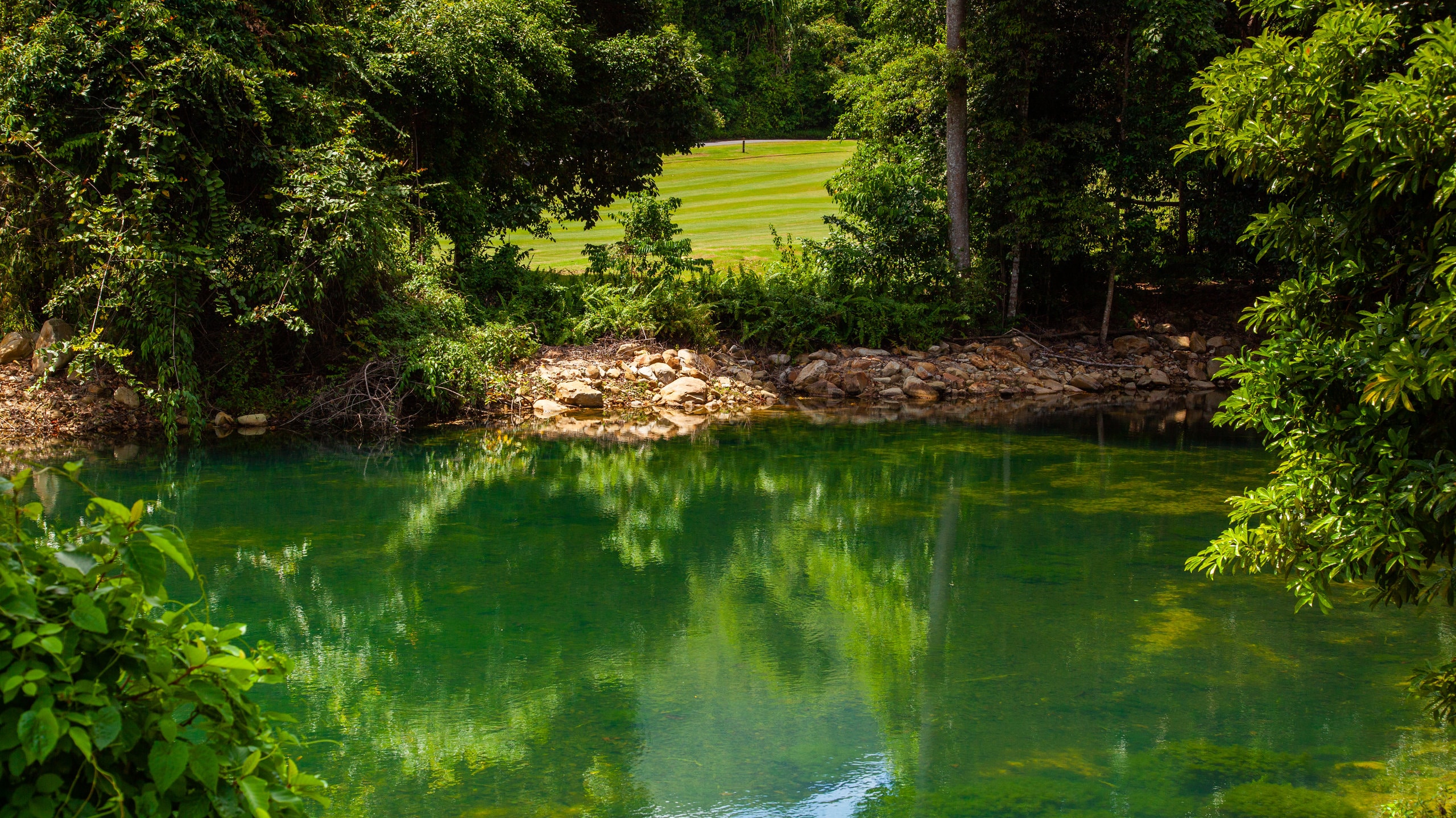 Visit Kedah: 2023 Travel Guide for Kedah, Malaysia | Expedia