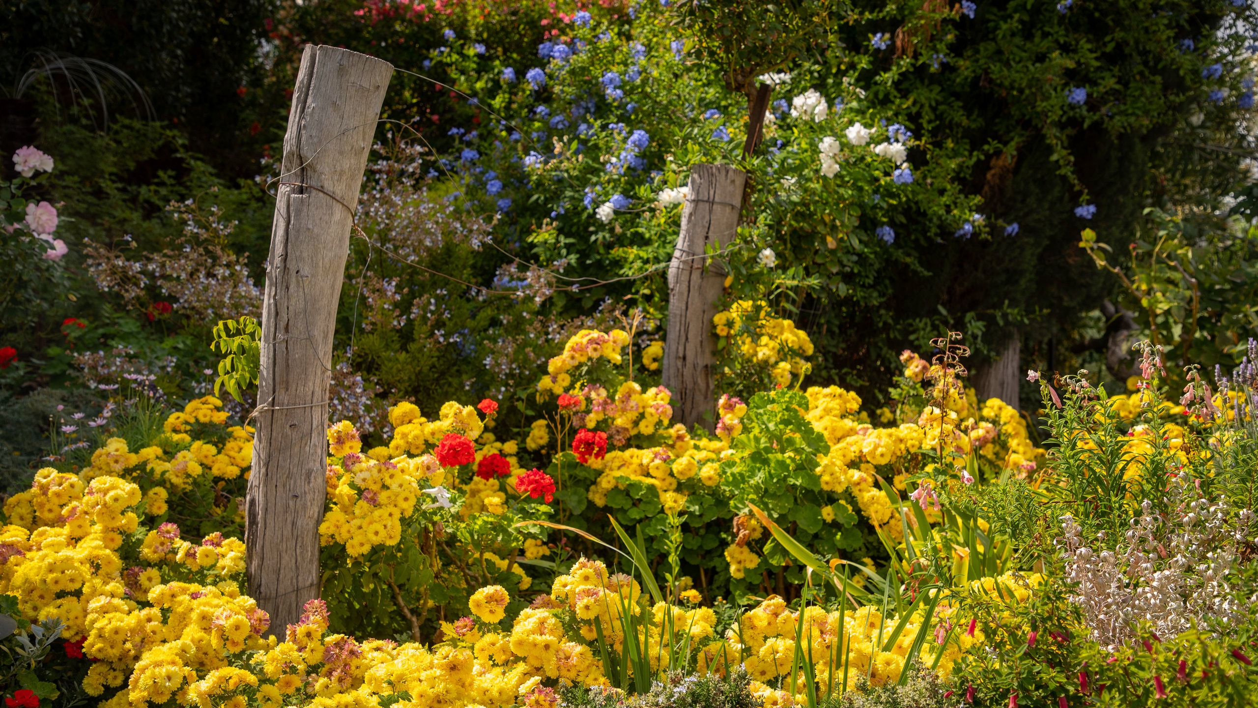 Coriole Vineyards, McLaren Vale Vacation Rentals: house rentals & more ...