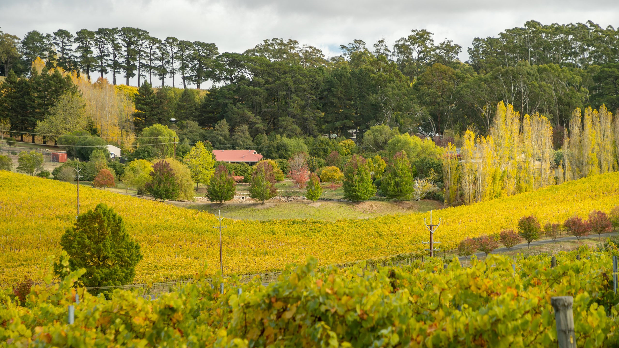 Summertown, SA holiday accommodation from AU$ 140/night | Stayz