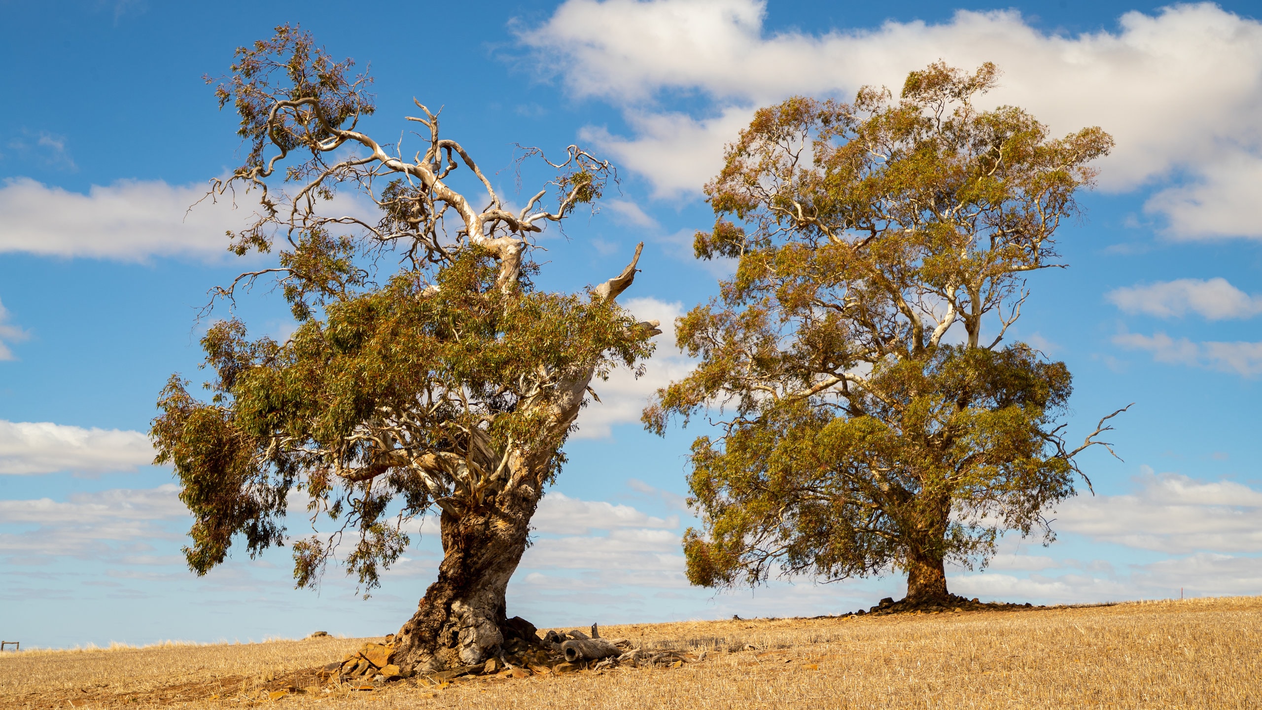 Mintaro, SA, AU Vacation Rentals: villa rentals & more | Vrbo