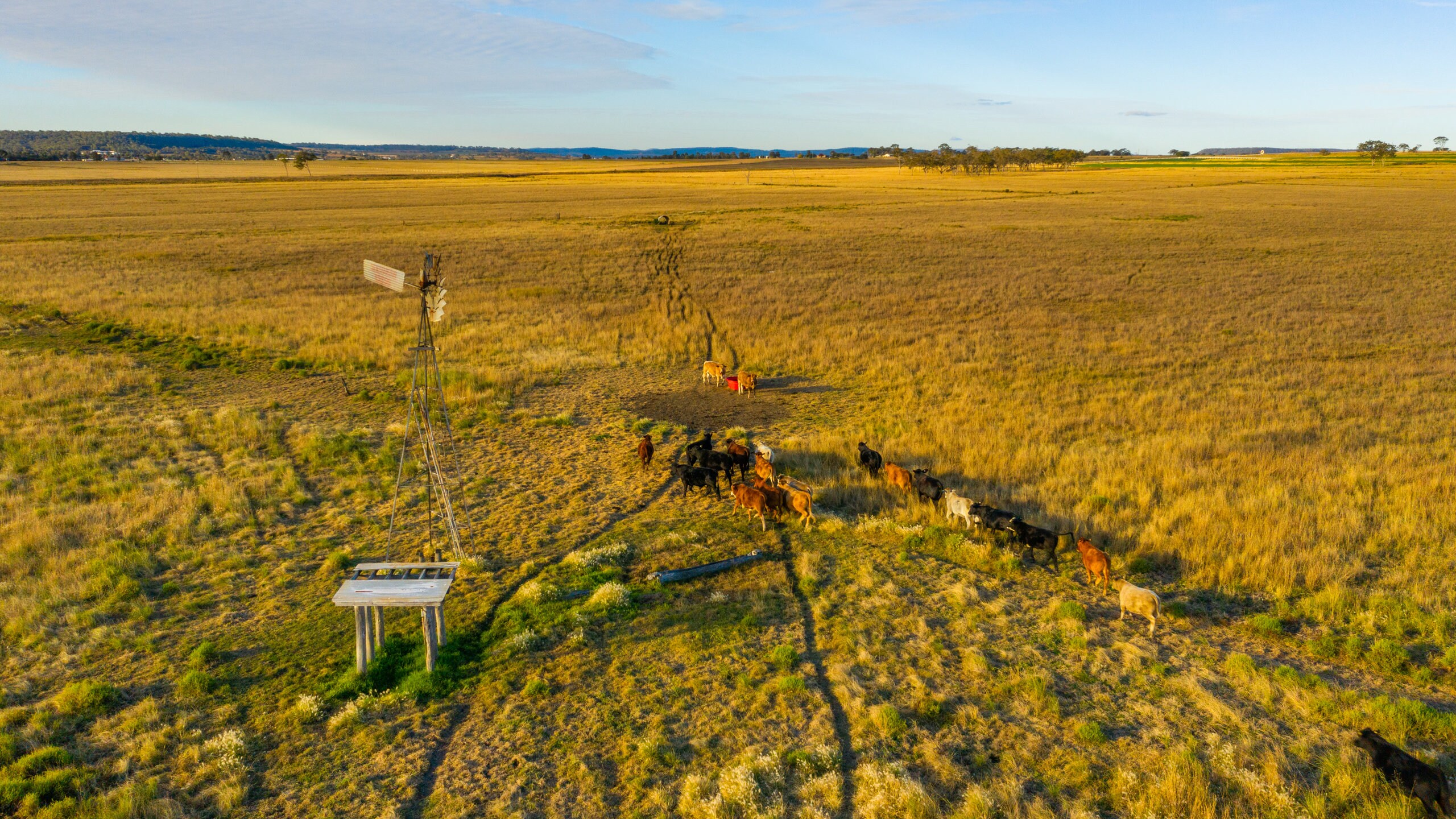 Visita Allora: scopri il meglio di Allora, Queensland, nel 2024 ...