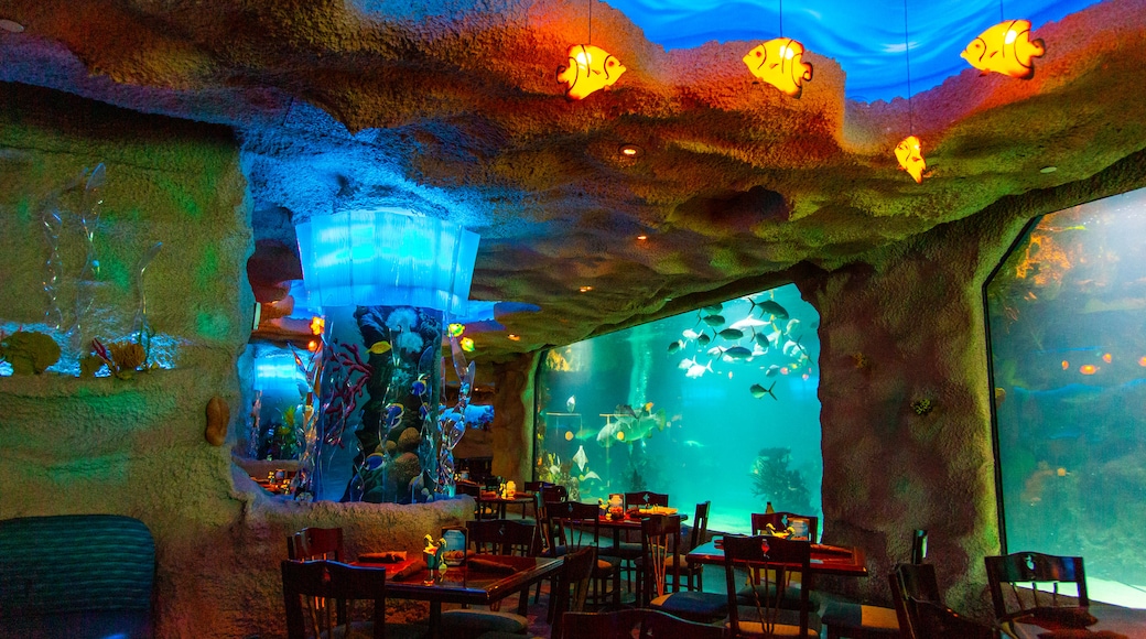 Downtown Aquarium in Downtown Houston - Touren und Aktivitäten | Expedia.de Downtown Aquarium in Downtown Houston - Touren und Aktivitäten | Expedia.de