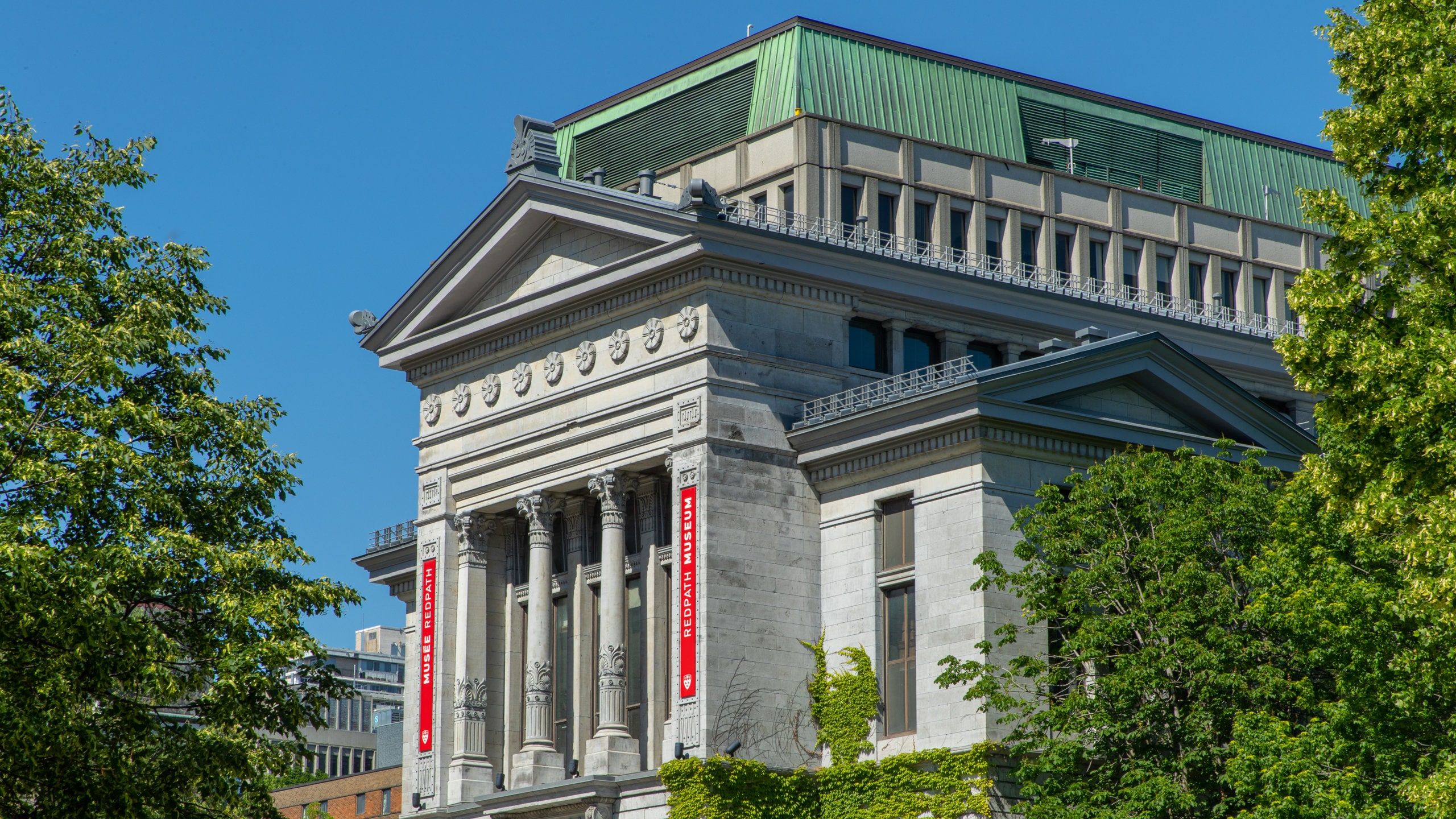 Mcgill University