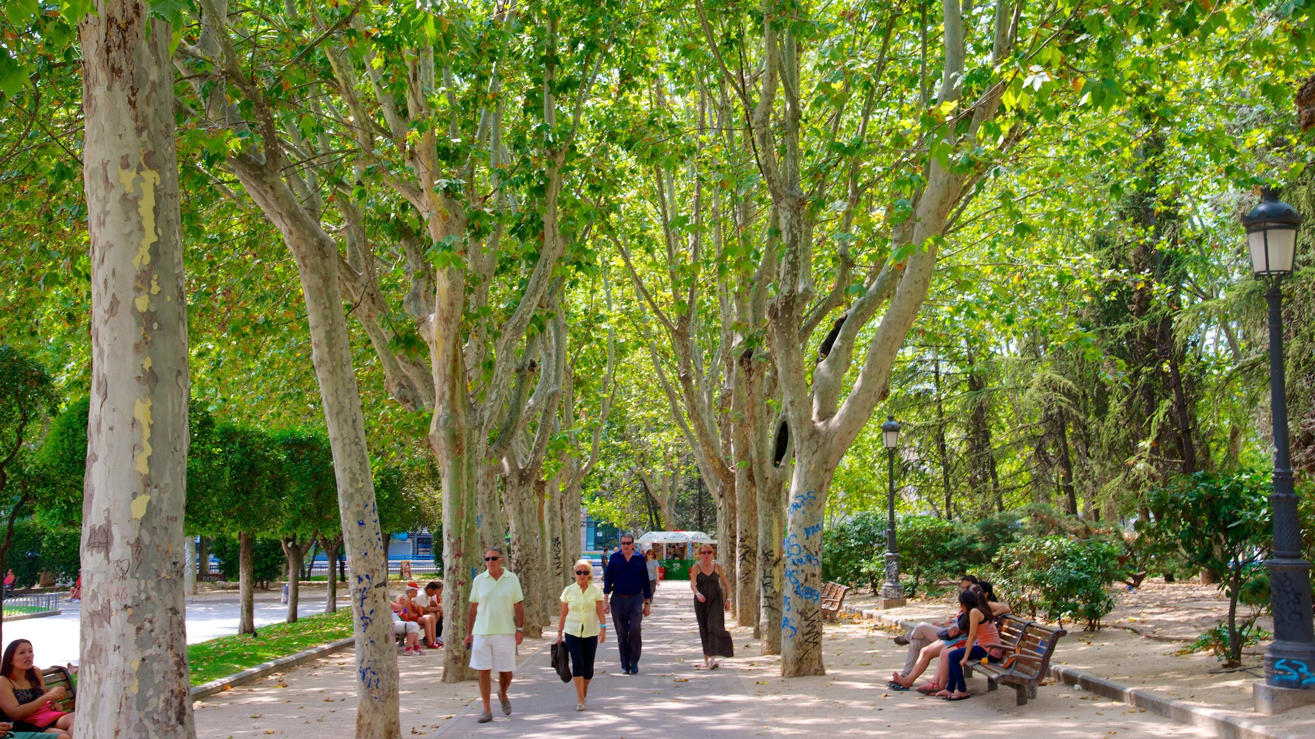 Distrito Sur turismo: Qué visitar en Distrito Sur, Sevilla, 2024 ...