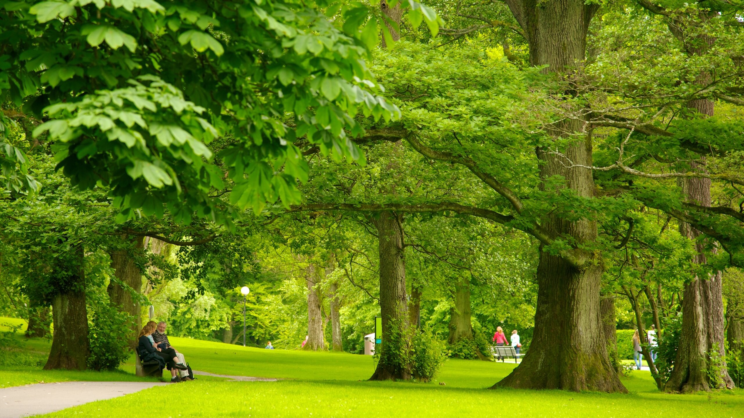 Slottsskogen in Göteborg | Expedia