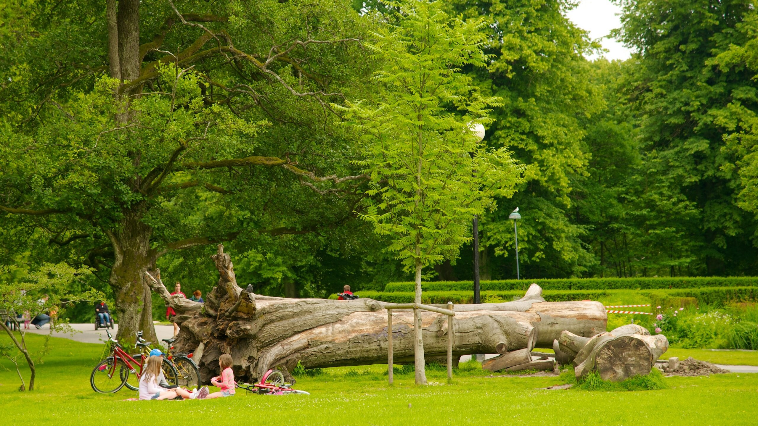 Ferienwohnung Park Slottsskogen, Göteborg: Ferienhäuser & mehr | FeWo ...