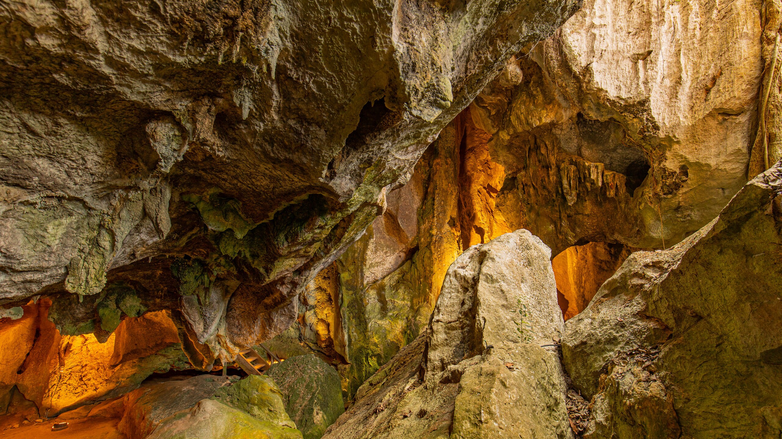 Capricorn Caves Tours - Book Now | Expedia