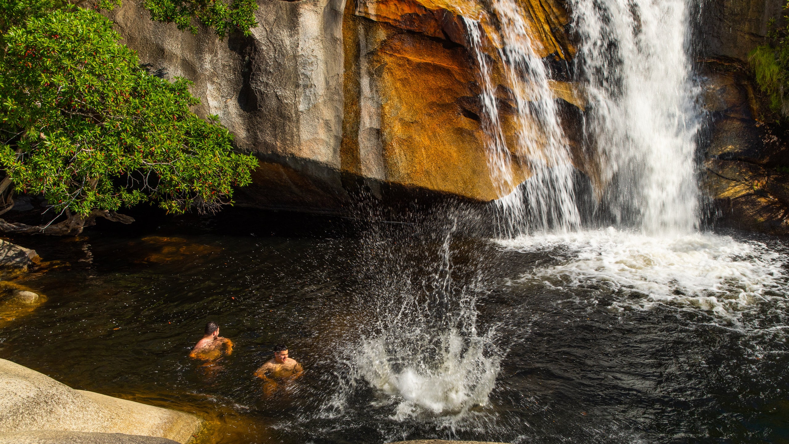 10 TOP Things to Do in Mareeba August 2024 | Expedia