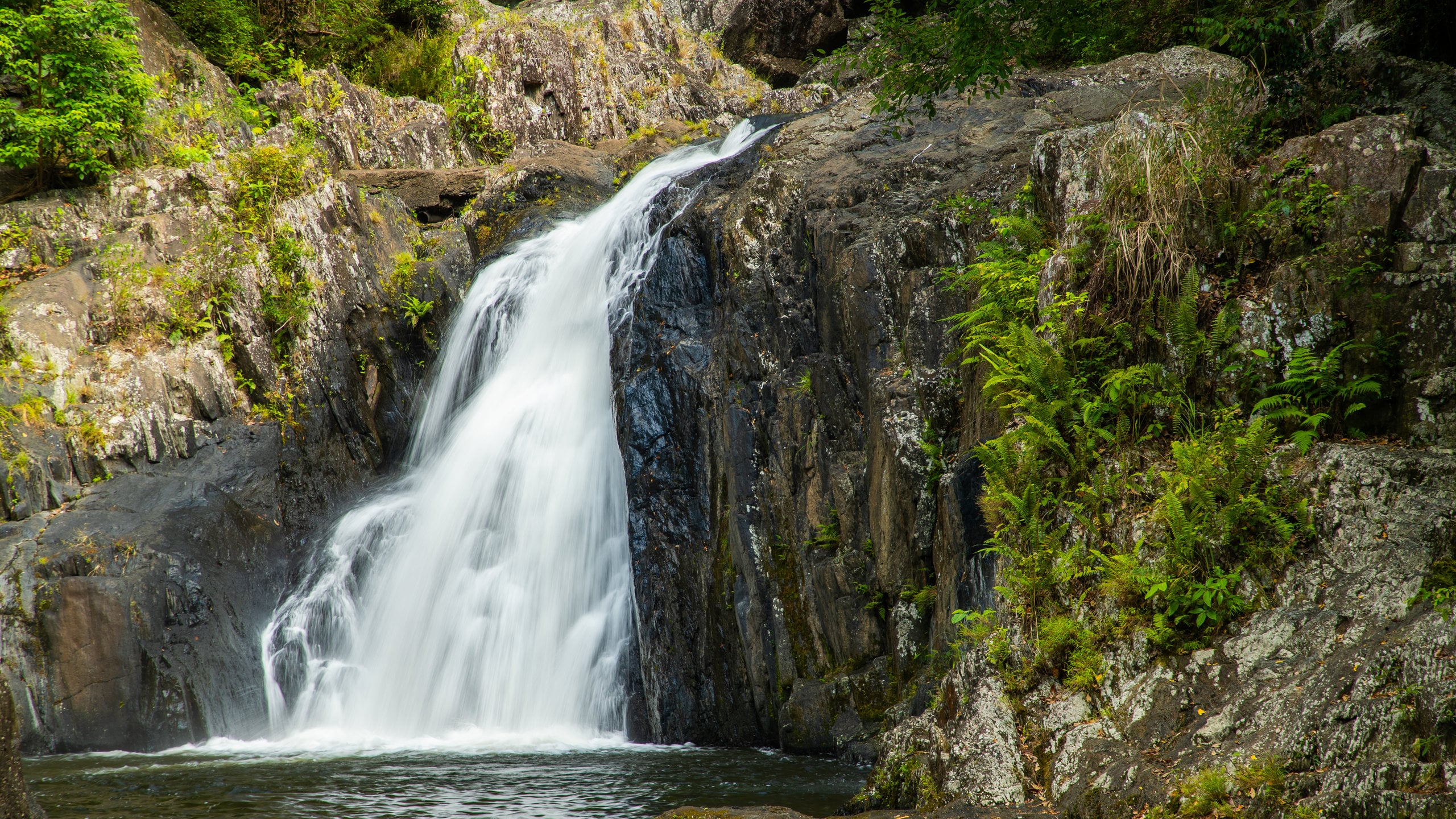 Redlynch Travel Guide: Best of Redlynch, Cairns Travel 2024 | Expedia.co.uk