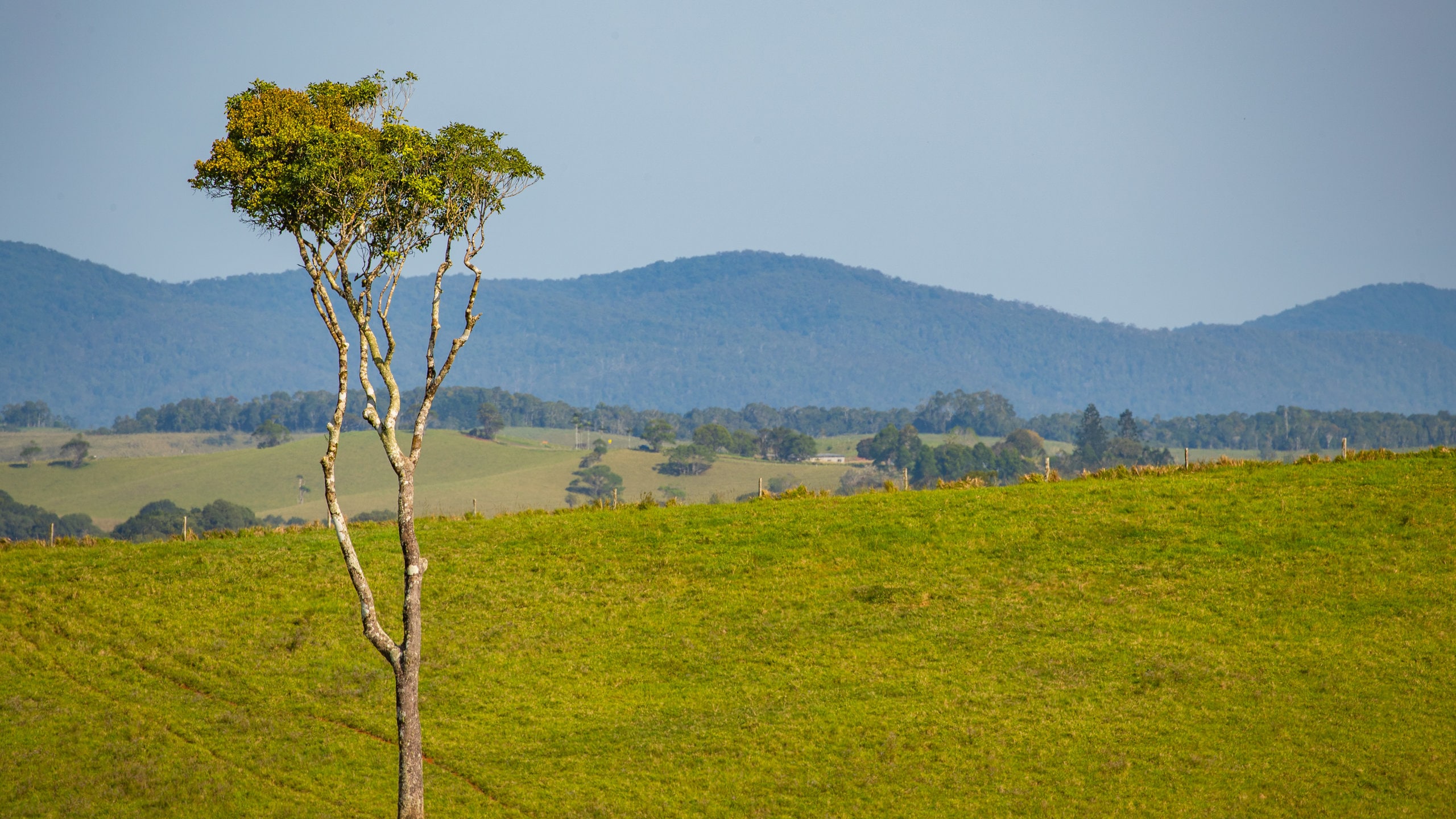 Northern Queensland, AU holiday accommodation from AU$ 100/night | Stayz