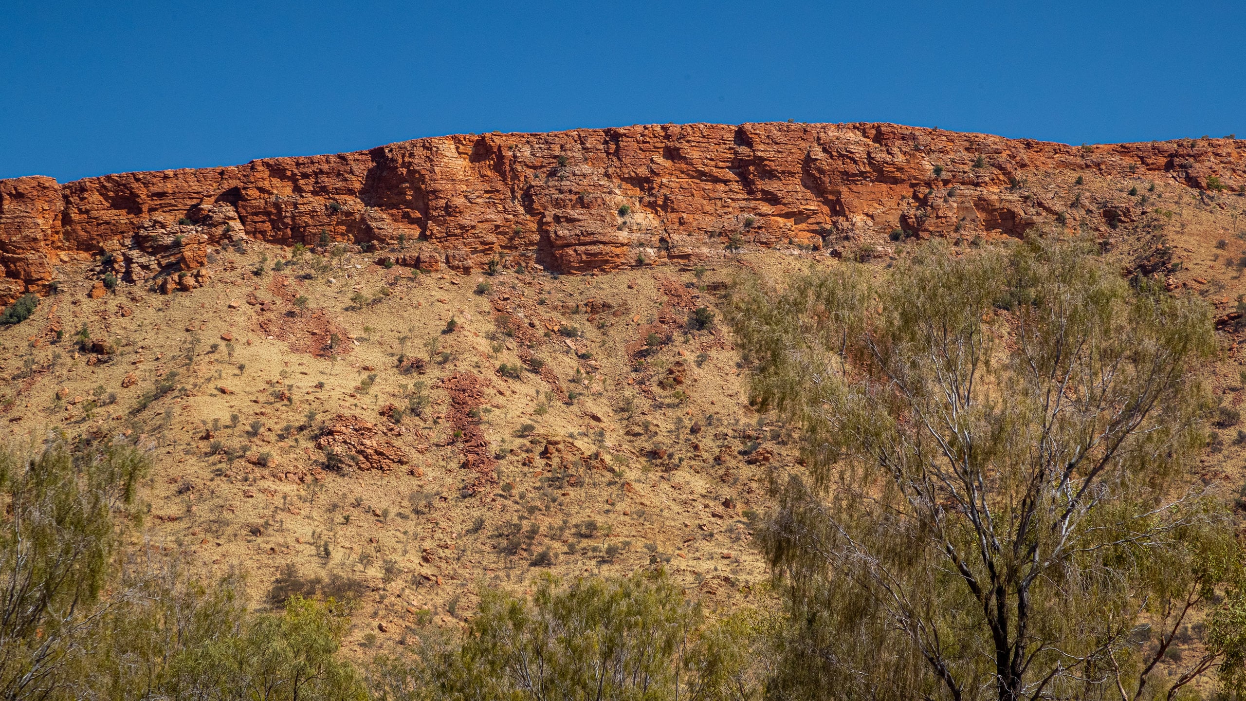 Alice Springs Desert Park, Alice Springs holiday accommodation from AU ...