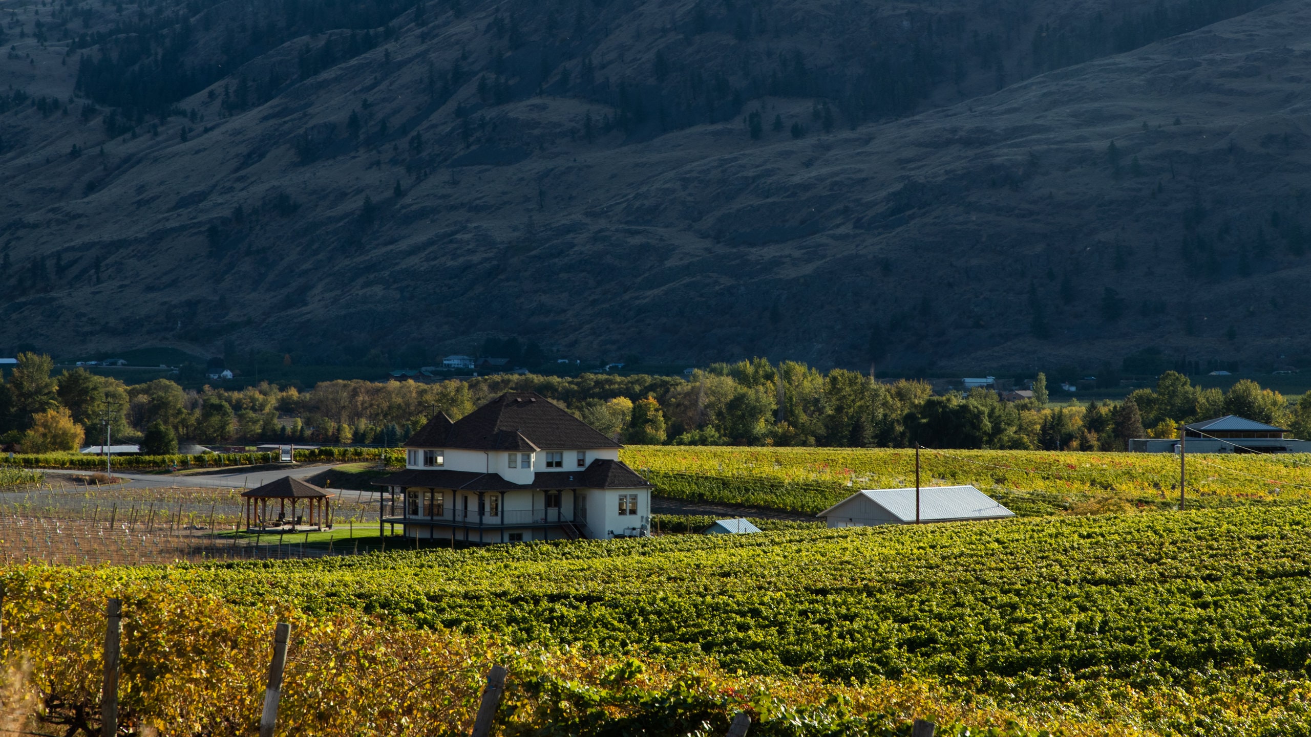 10 TOP Things to Do in Oliver March 2024 | Expedia