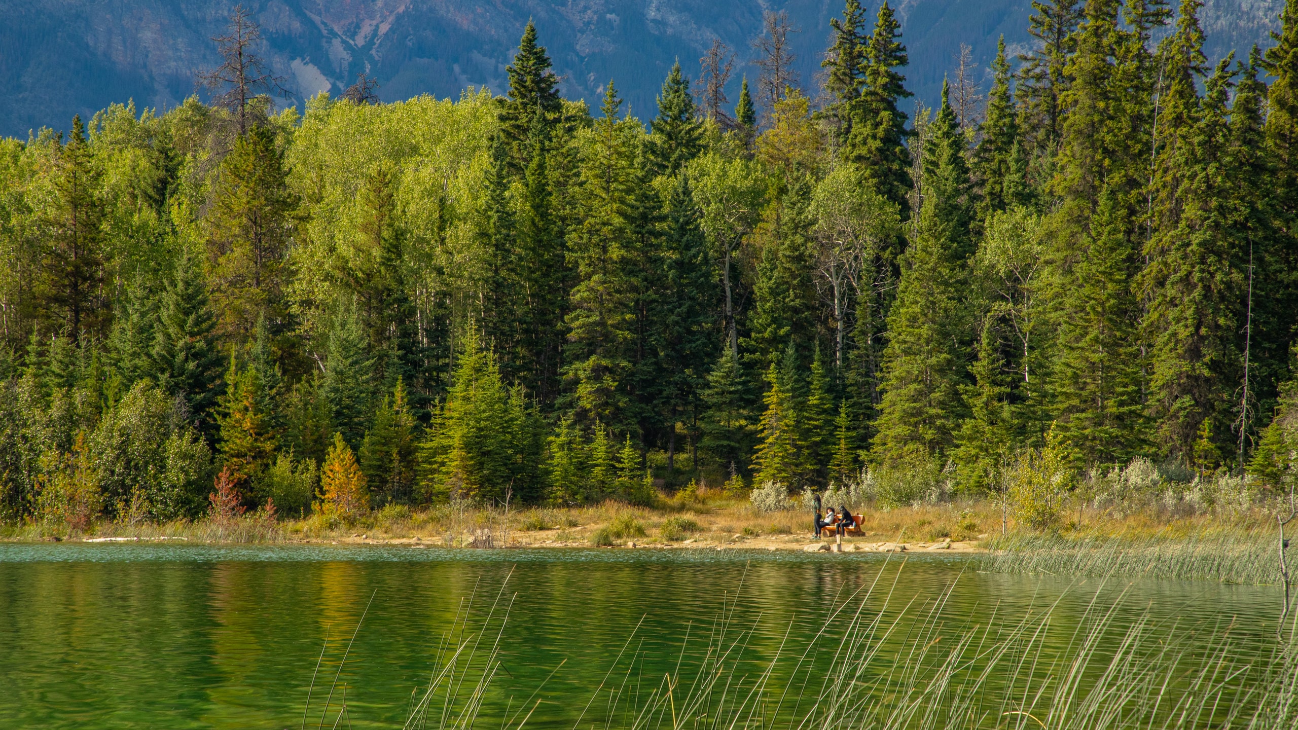 Patricia Lake - Tours and Activities | Expedia