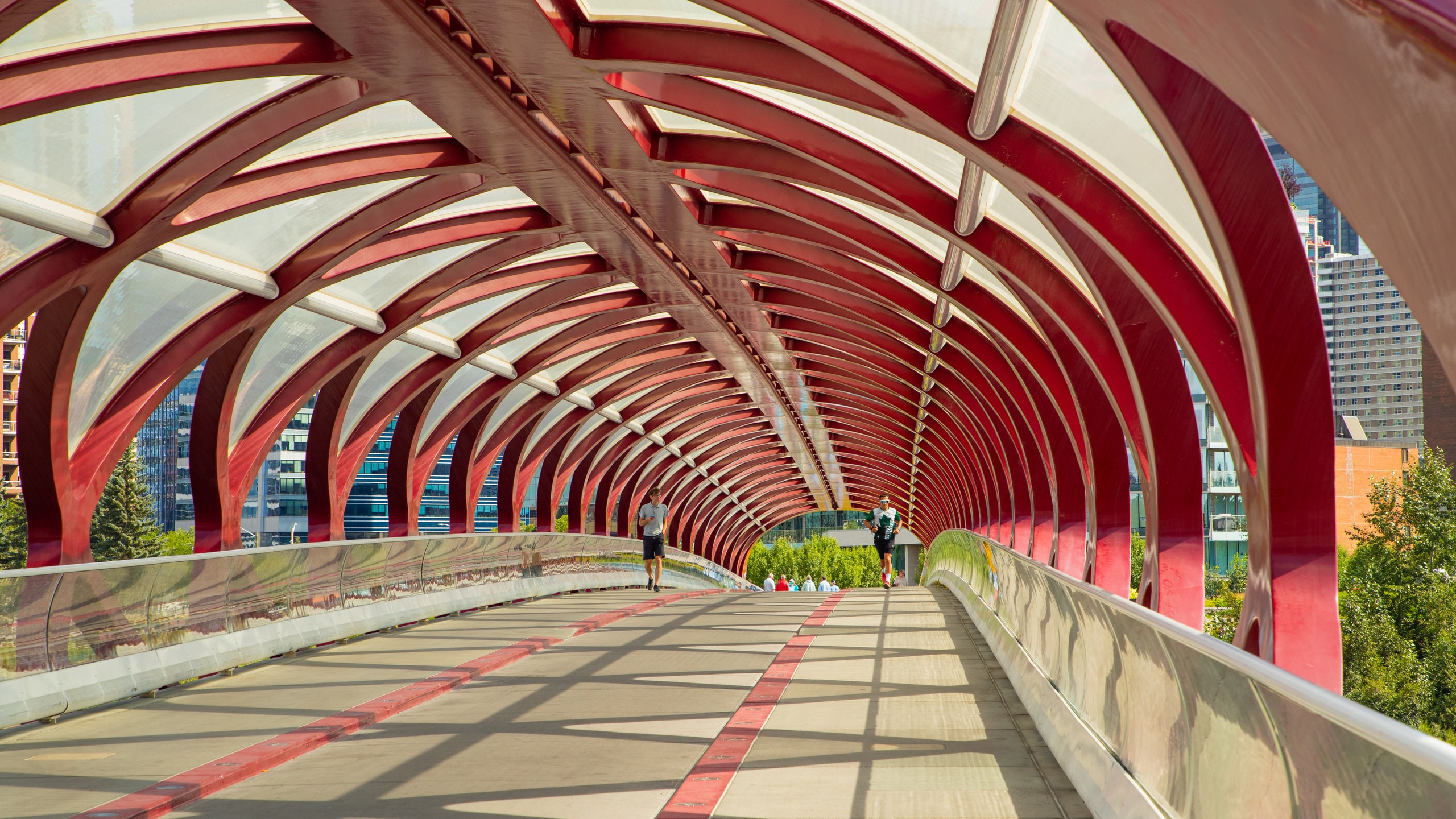 Peace Bridge Tours - Book Now | Expedia