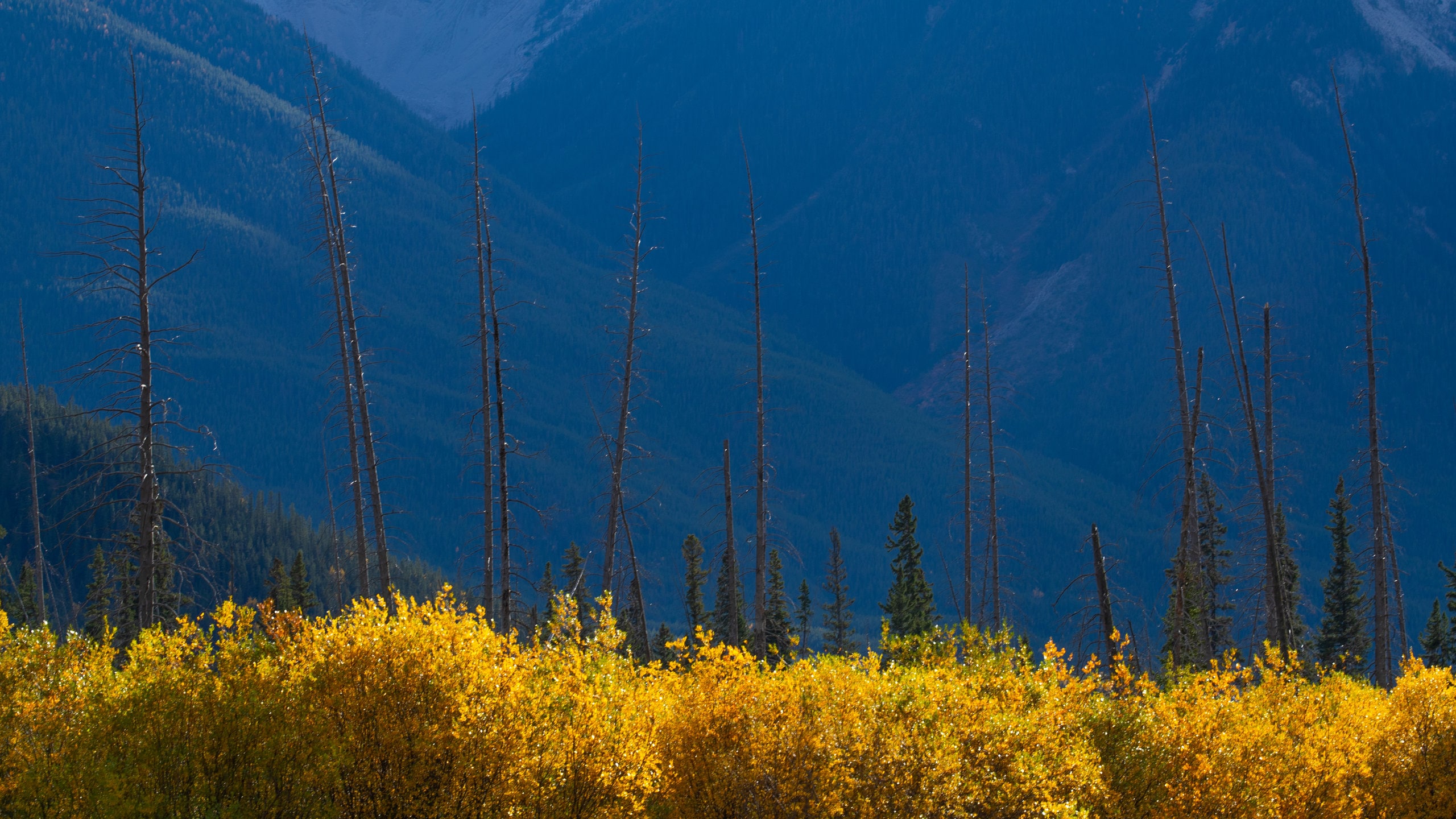 班夫Vermilion Lakes熱門旅遊景點: 2024 Vermilion Lakes觀光景點推薦 | Expedia.com.tw