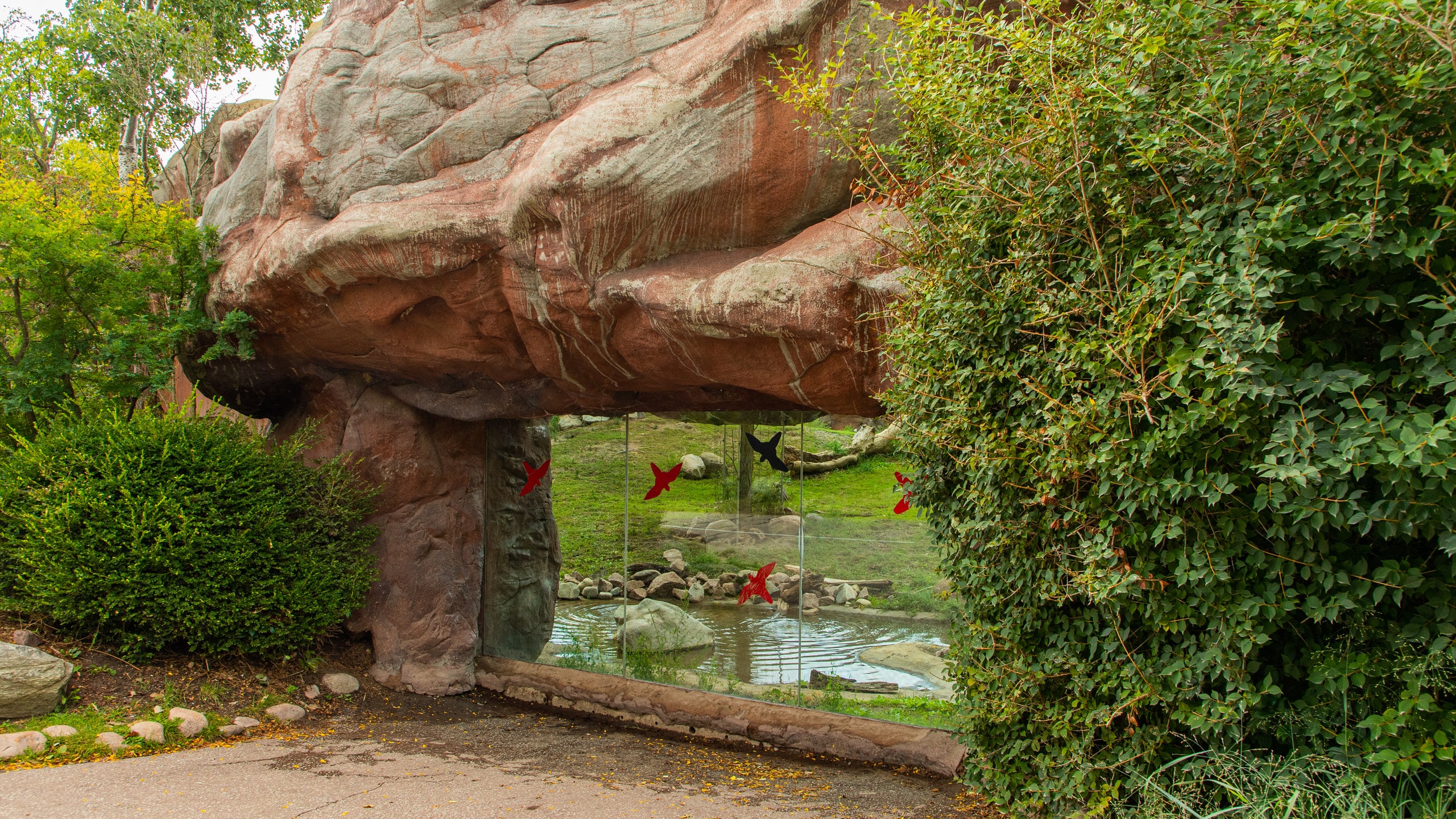Come Up And Close With Natures Beautiful Animals At The Toronto Zoo
