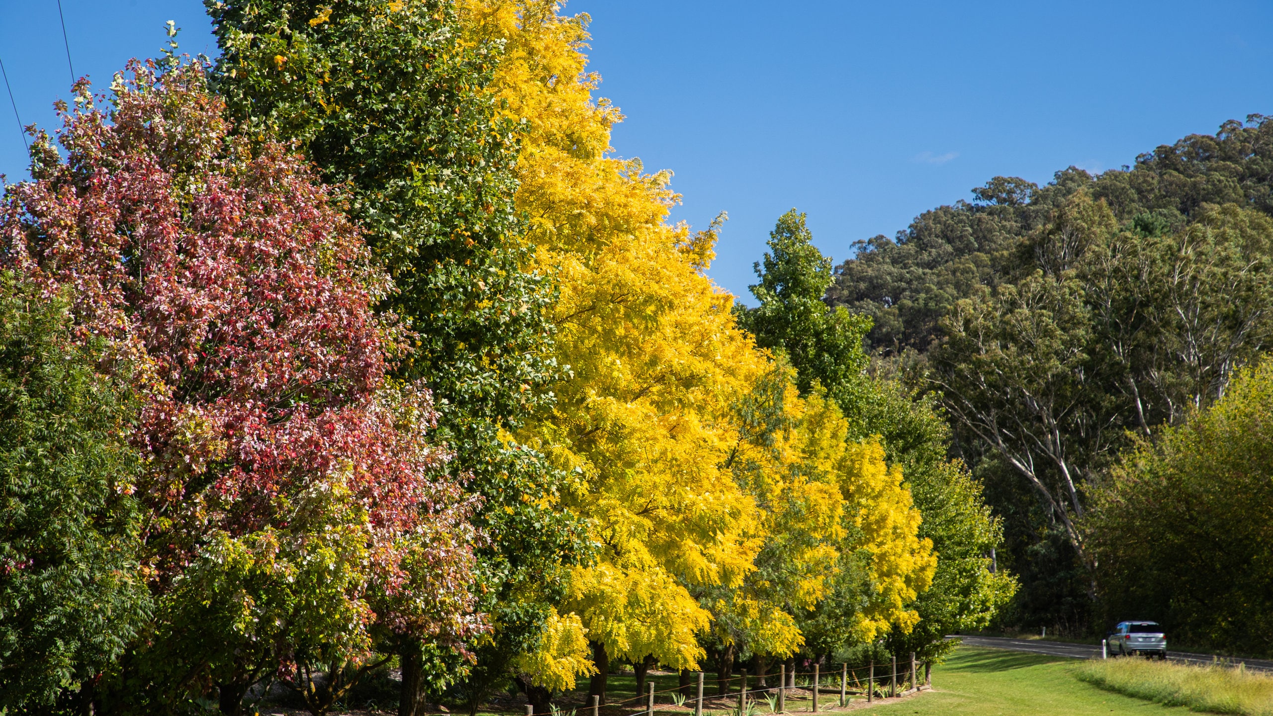 Myrtleford, VIC, AU Vacation Rentals: house rentals & more | Vrbo